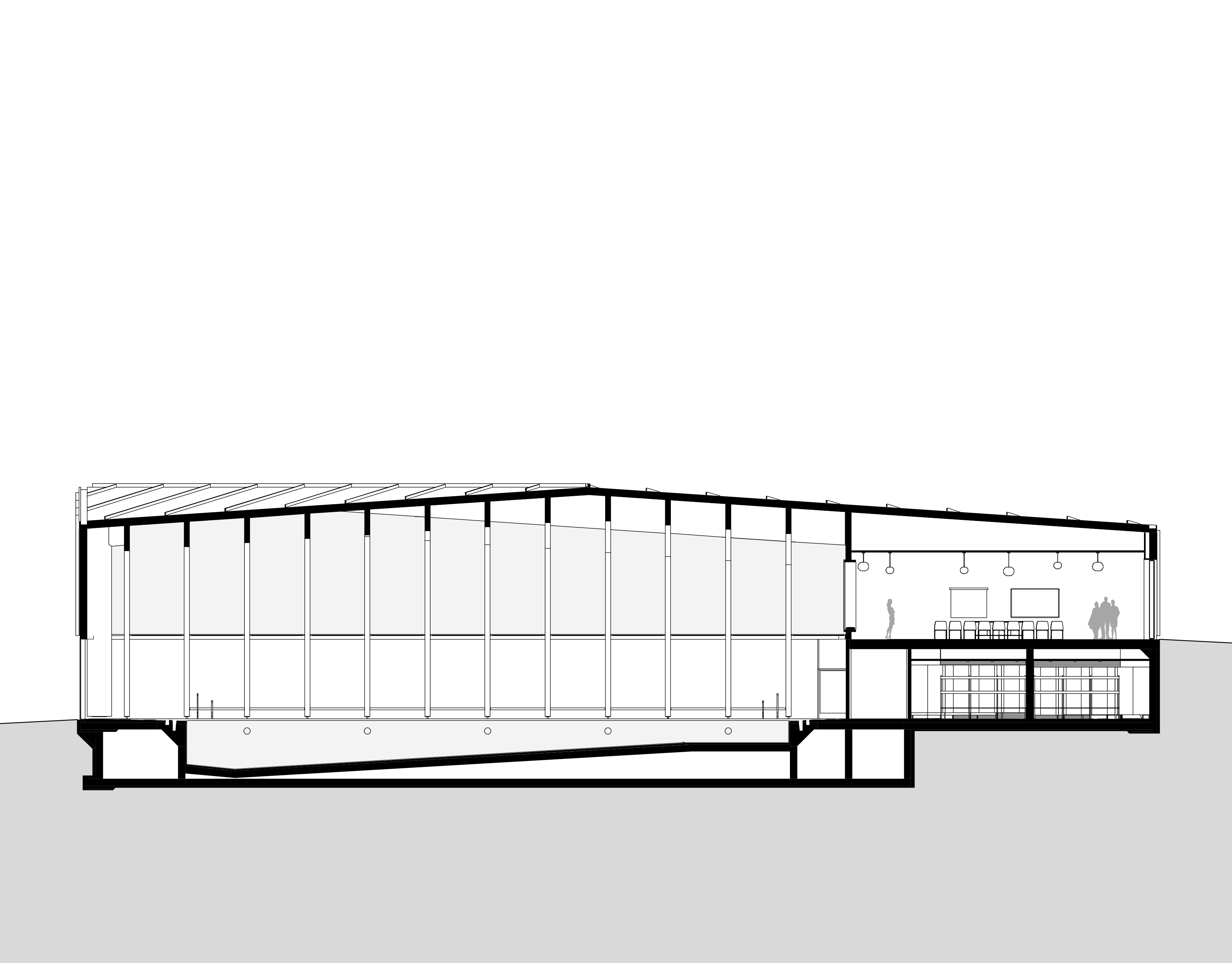 Hawkins\Brown completes engineered timber school swimming pool