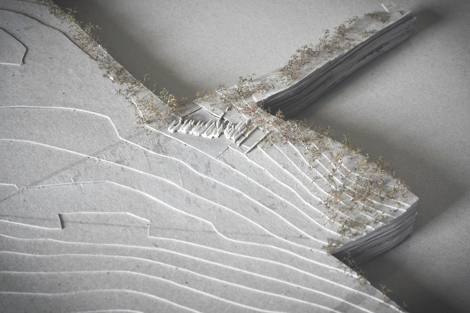 Studio Bark wins go-ahead for fifth 'country house clause' home