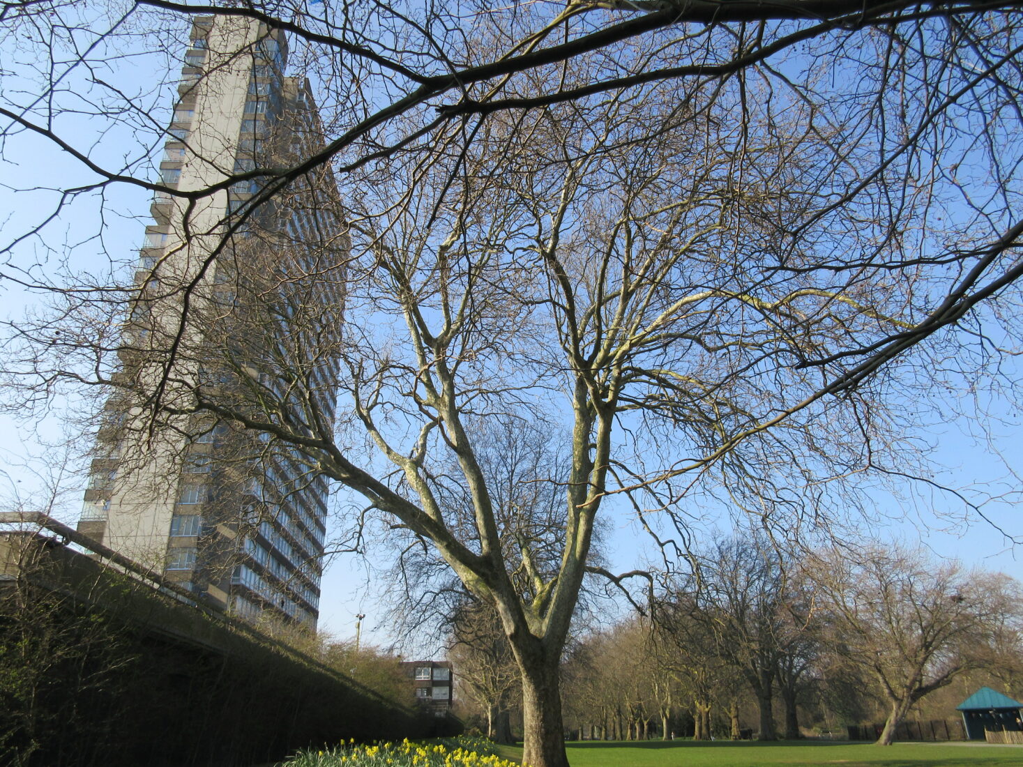 Haworth Tompkins tower block refurb in doubt as council considers ...