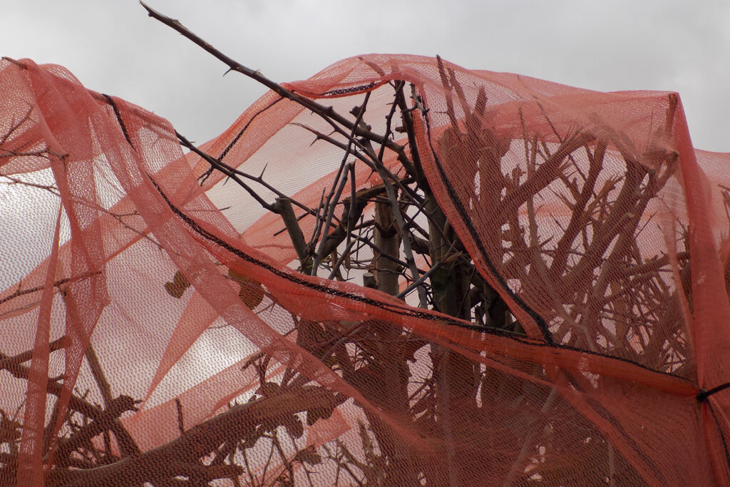 Covering nature in netting shows our detachment from the natural world