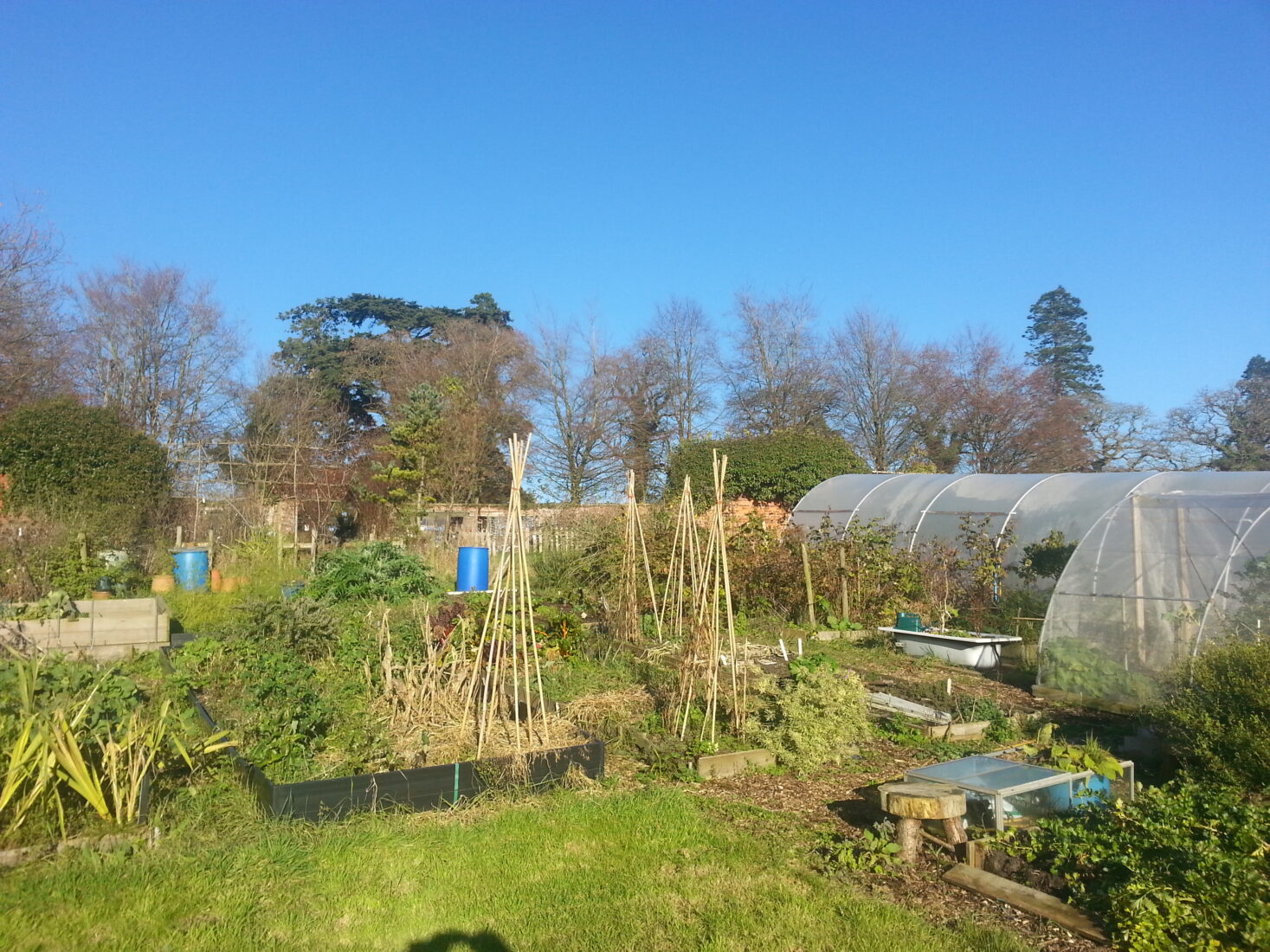 Edward McCann gets go-ahead for 240m² home in historic walled garden