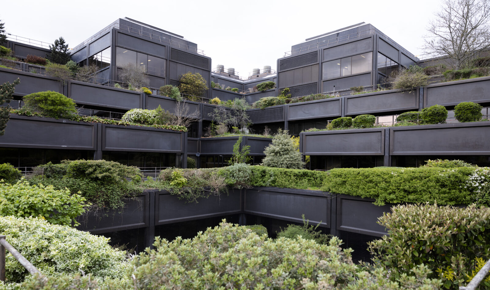 FCBS to revamp Grade II-listed ‘Hanging Gardens of Basingstoke’