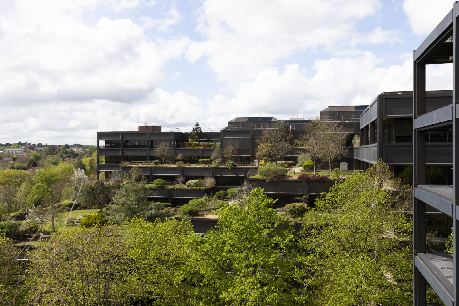 FCBS to revamp Grade II-listed ‘Hanging Gardens of Basingstoke’
