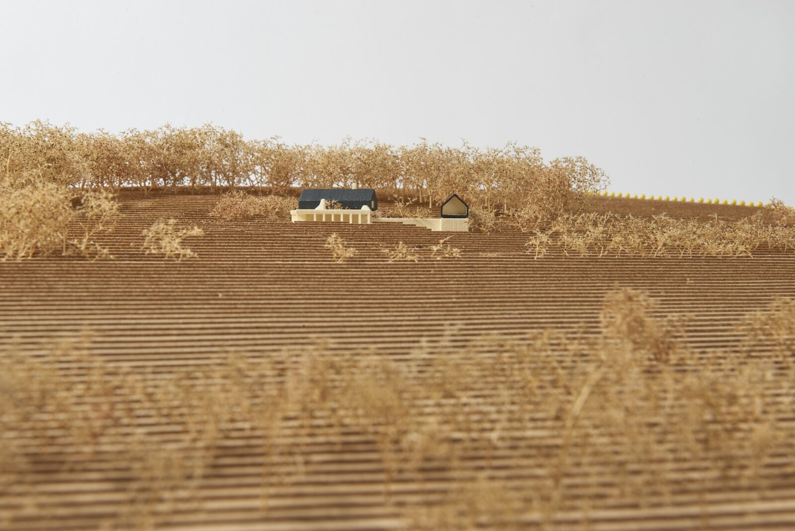 BBM wins approval for home built from remains of burnt-down predecessor