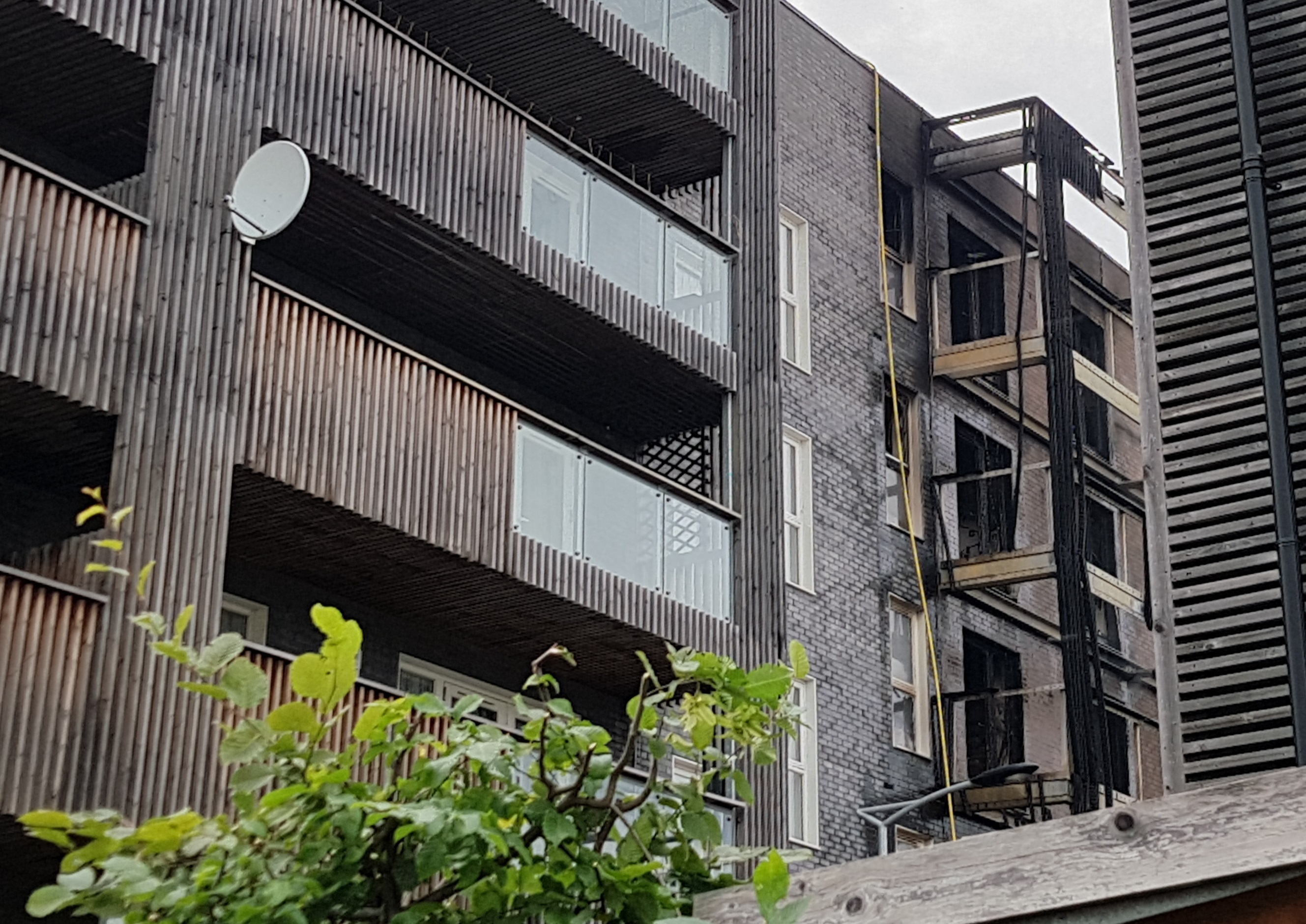 Timber bodies slam ‘failure’ to specify treated cladding at Barking ...