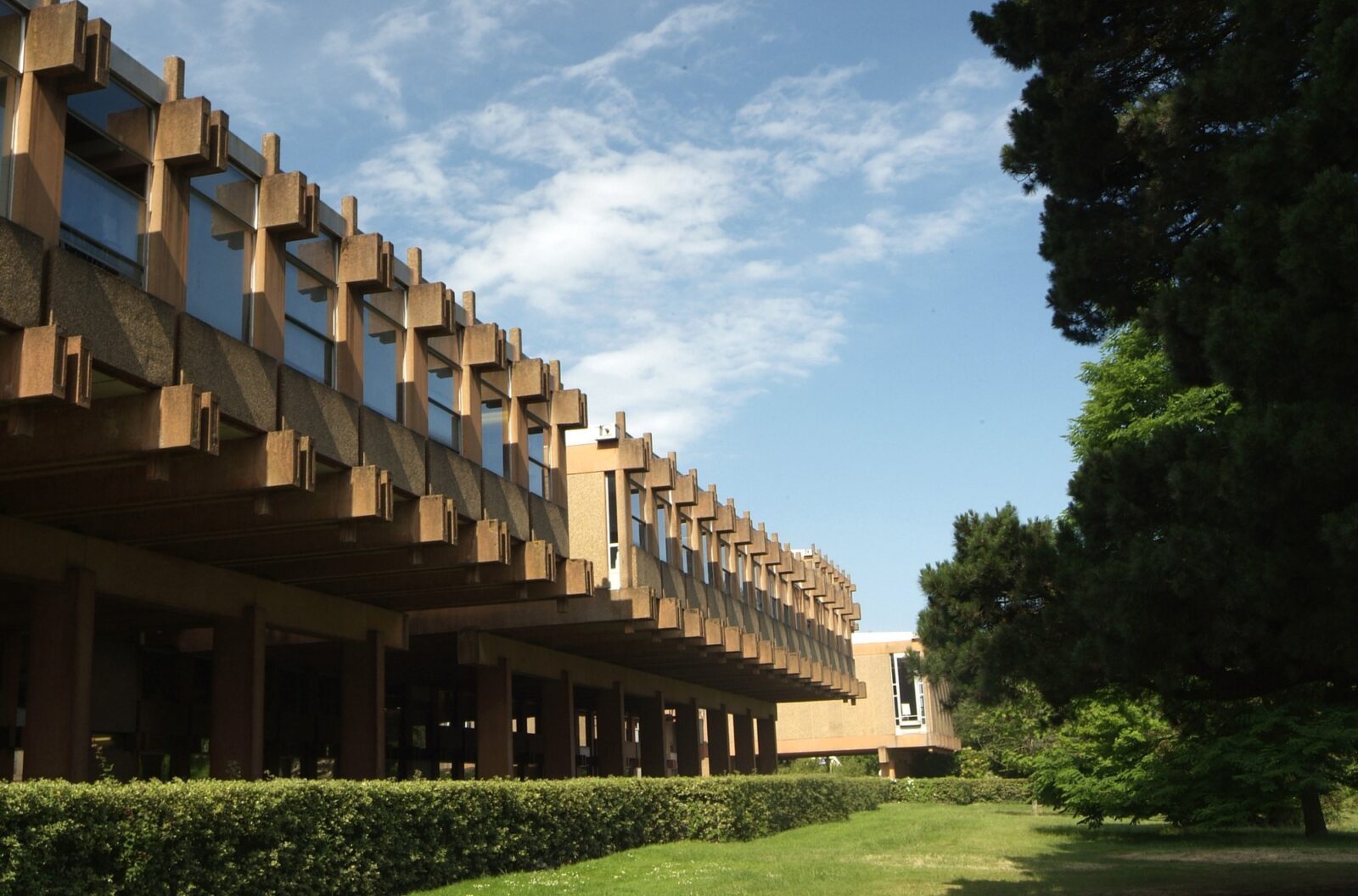 Reading Uni shelves Hawkins\Brown’s ‘Lego Building’ overhaul