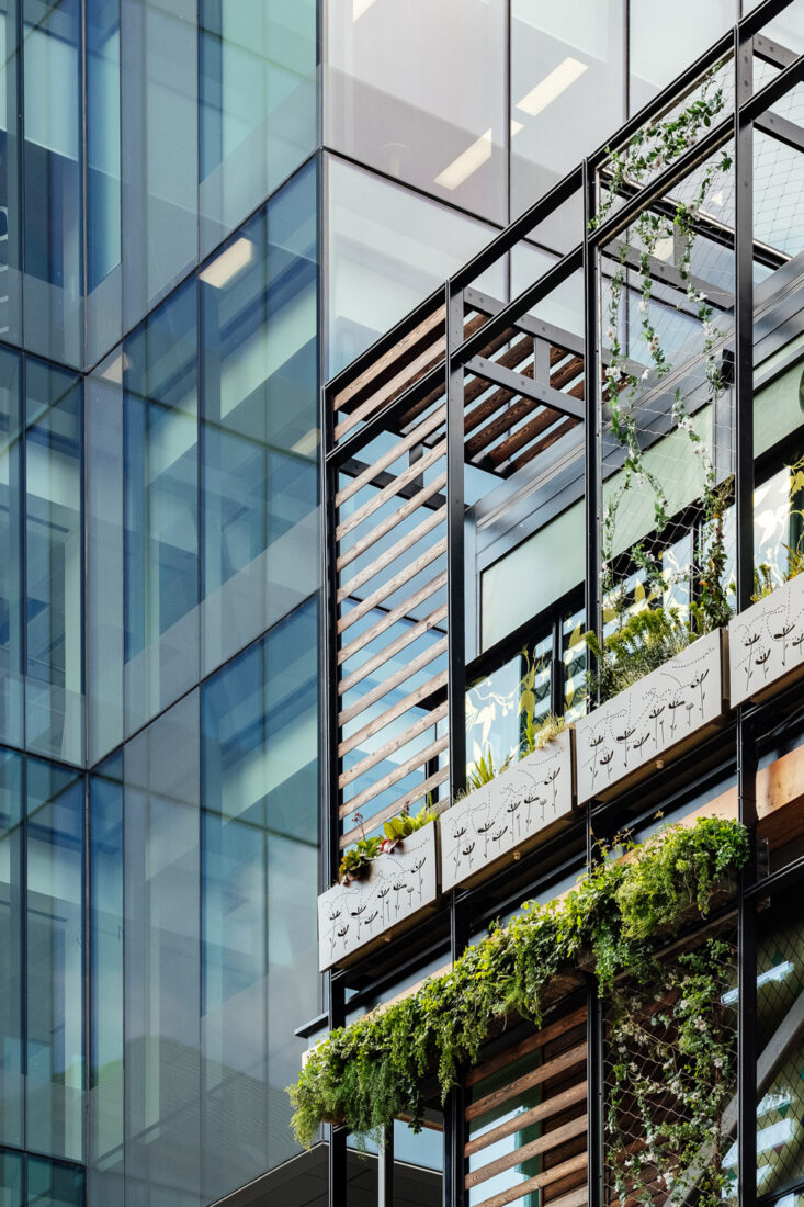 Sheppard Robson designs timber-framed pavilion in Manchester’s ...