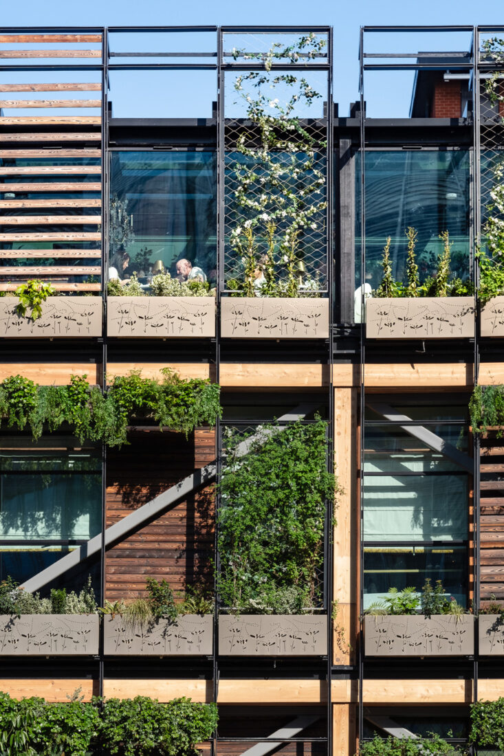 Sheppard Robson designs timber-framed pavilion in Manchester’s ...