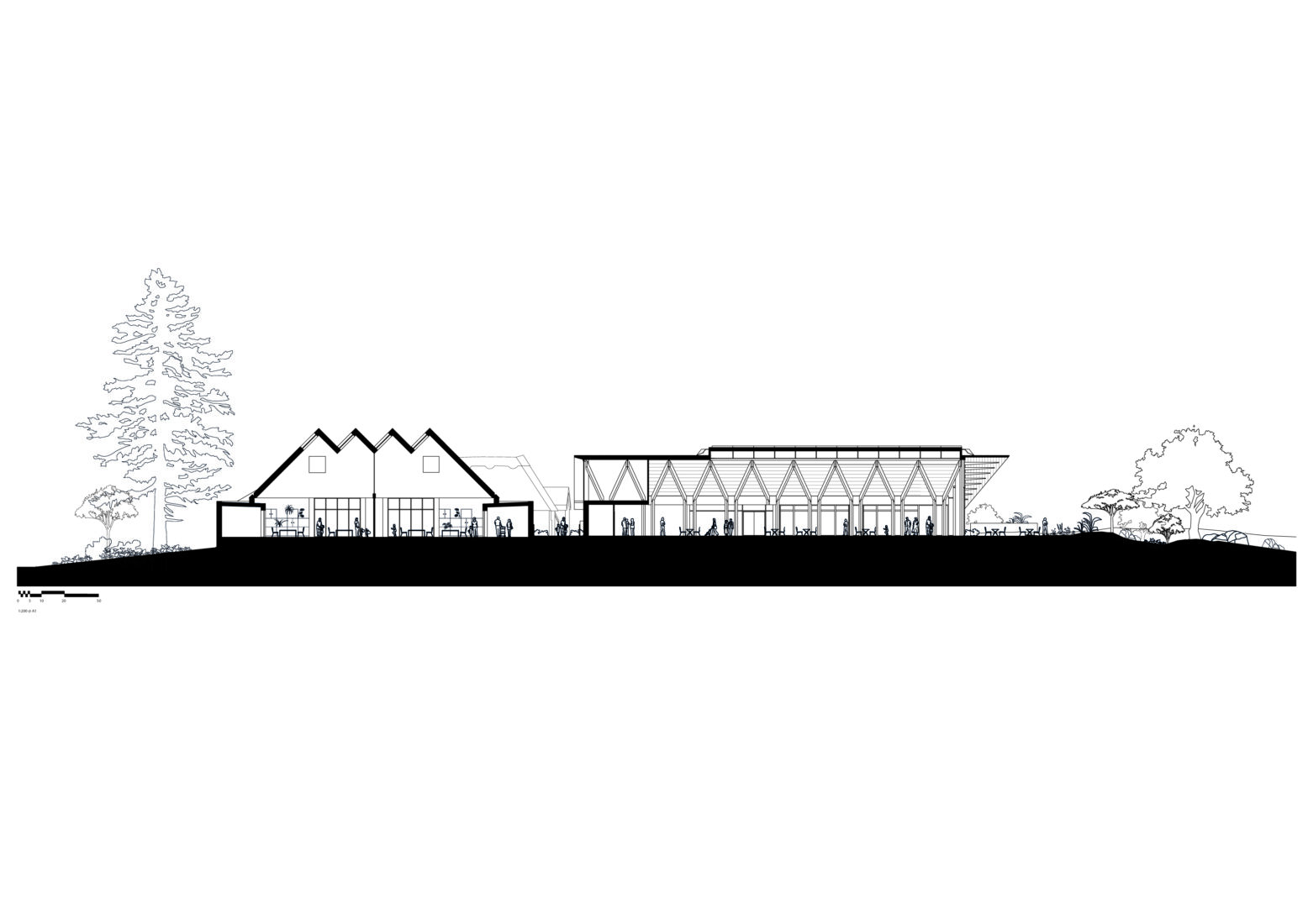 Cullinan Studio-masterplanned learning hub at RHS Hyde Hall completed