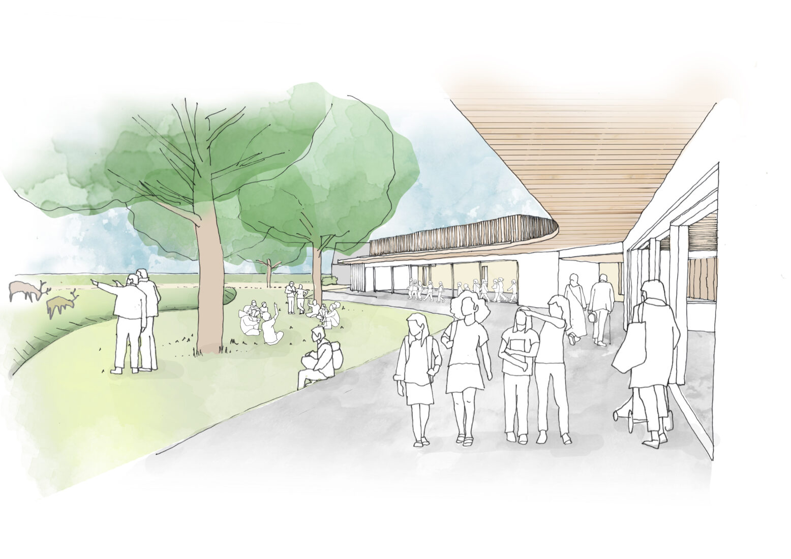 Architype’s design for Greenwich Park learning centre unveiled