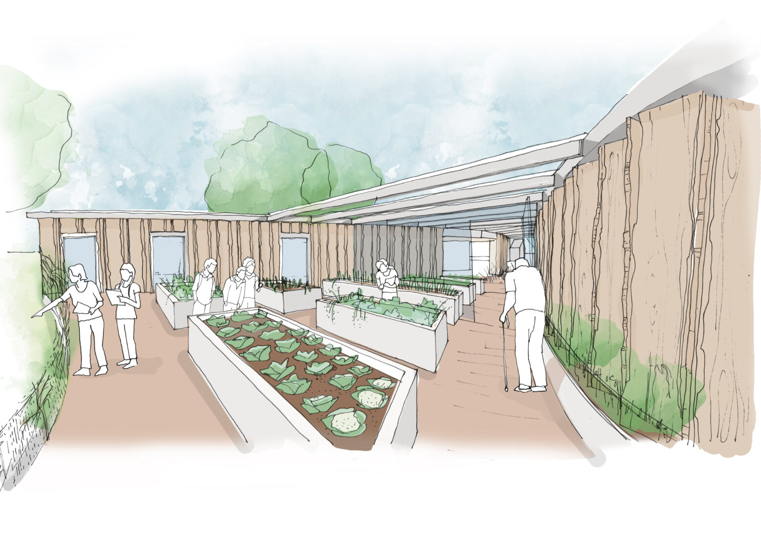 Architype’s design for Greenwich Park learning centre unveiled