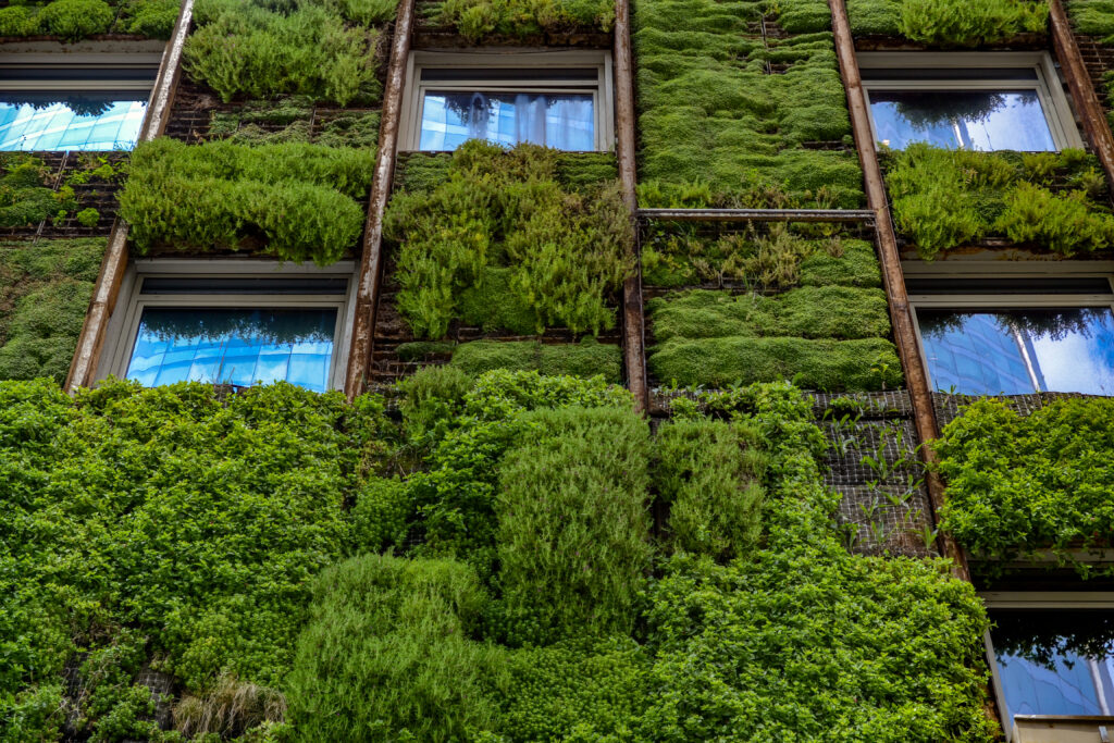 All buildings should have ‘nature-based’ resilience by 2030, urges ...