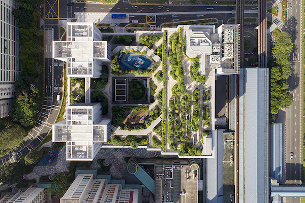 The New Old: architects across continents are rethinking housing for ...