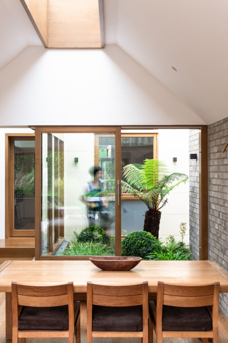 Gruff’s extension to south London home features planted internal courtyard