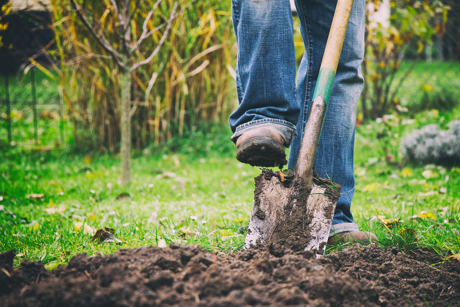 Weekend roundup: Neighbourly architect learns that no good deed goes ...