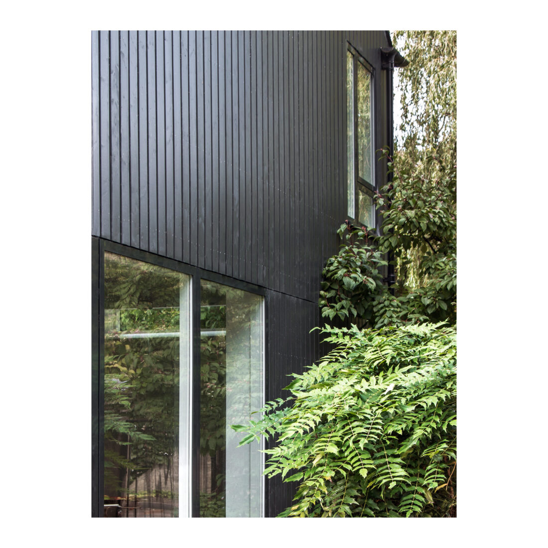 Charles Rattray, teacher and writer with ‘infectious enthusiasm’, dies ...