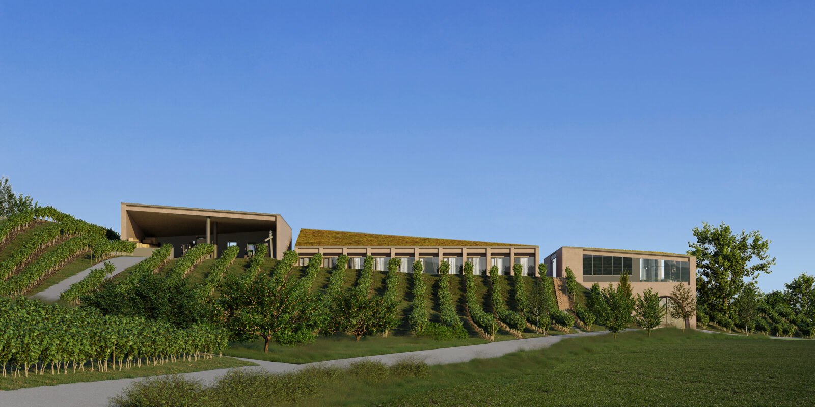 Feilden+Mawson wins contest for Czech winery