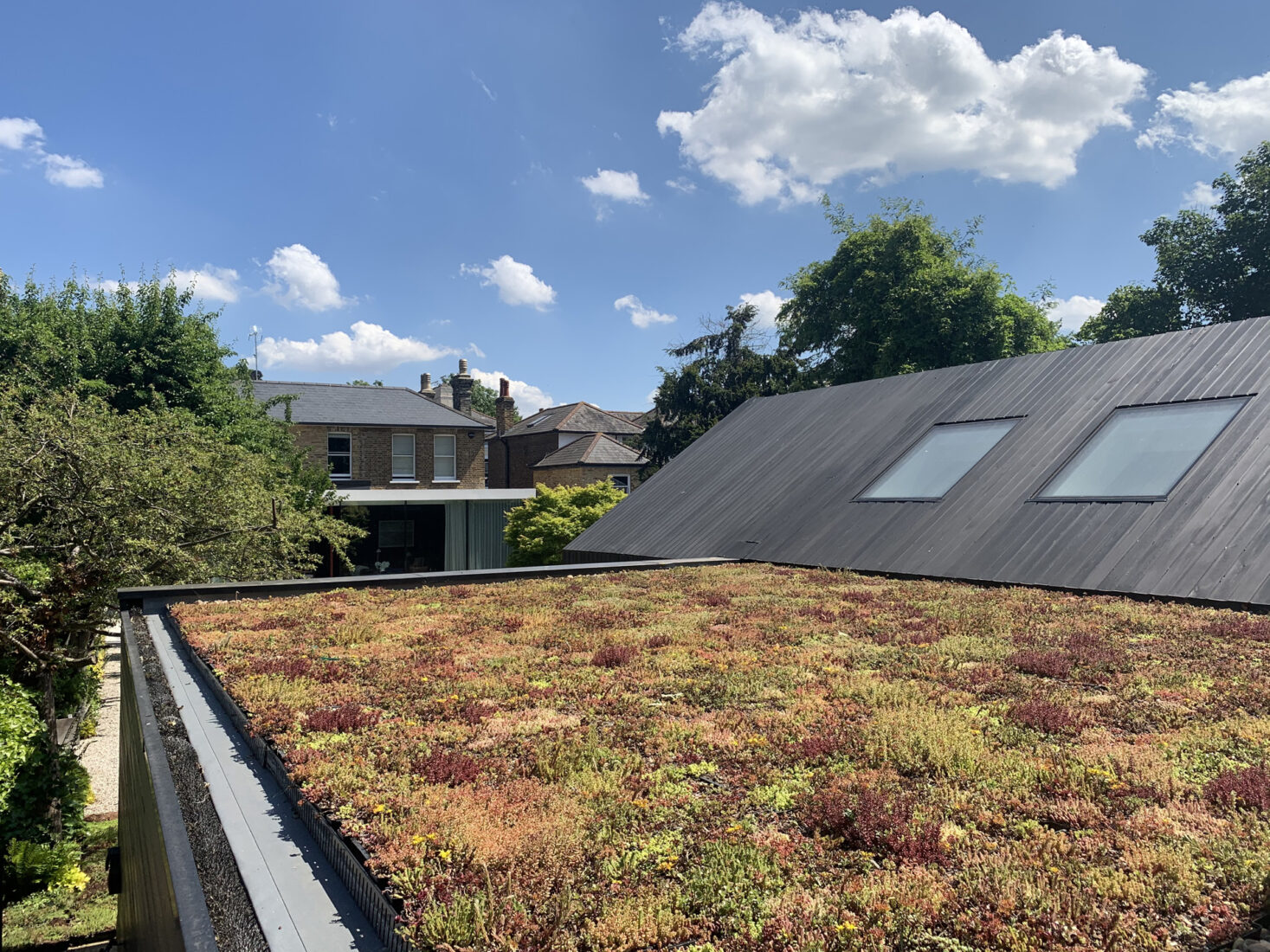 Stephen Coates reworks villa with new annexe focused on courtyard garden