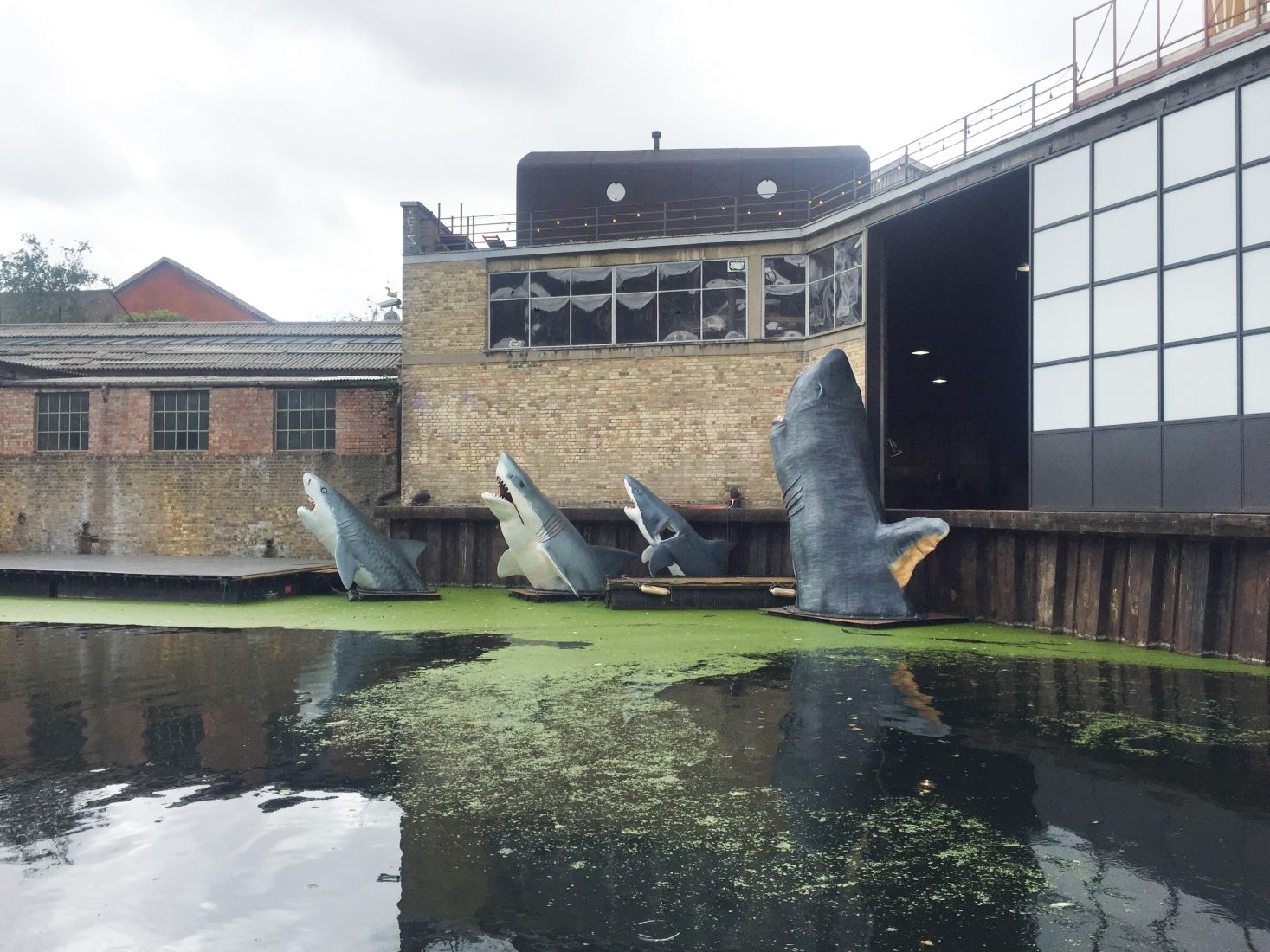 Council moves to halt architect’s shark installation