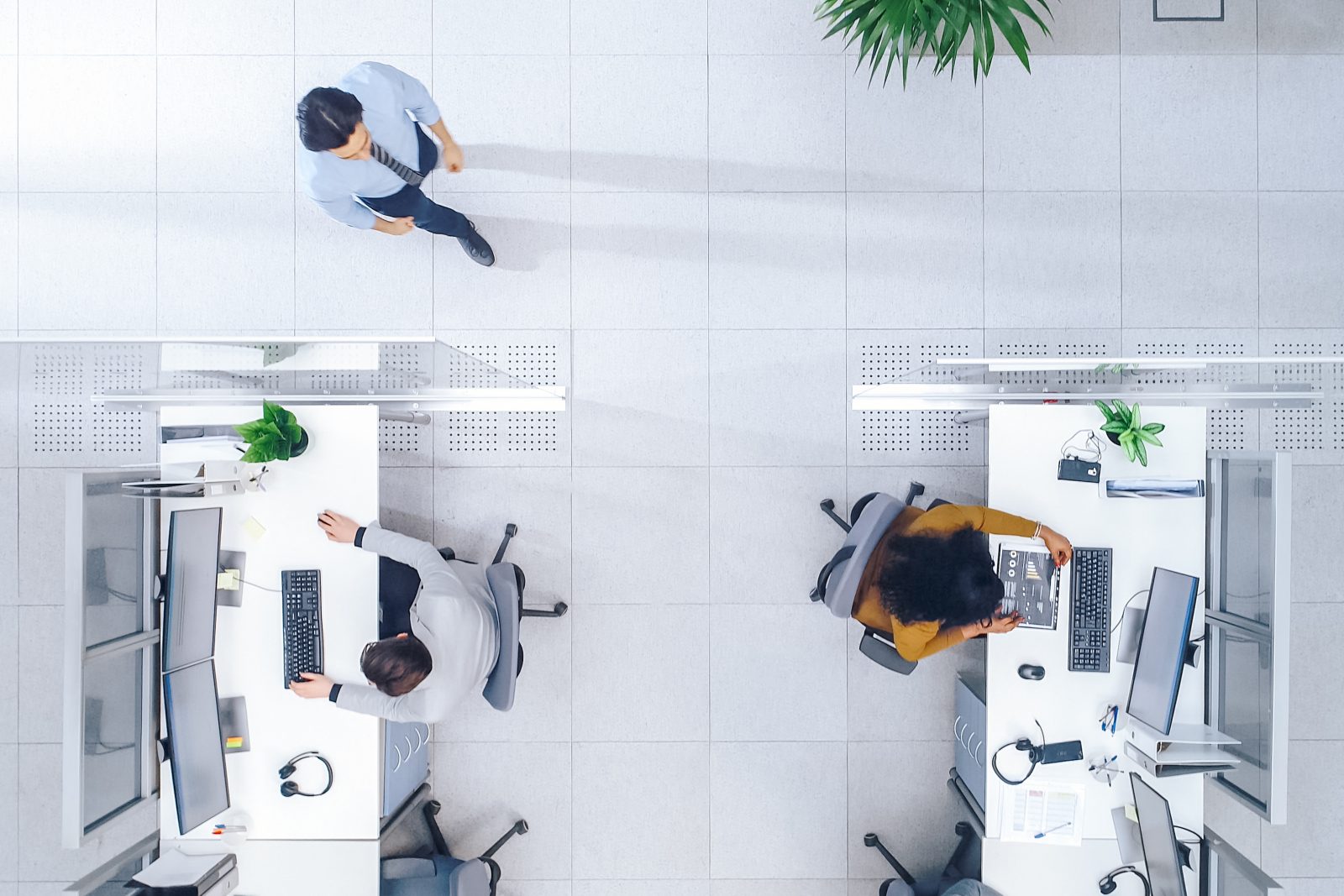 The office is the most powerful institute for learning we have