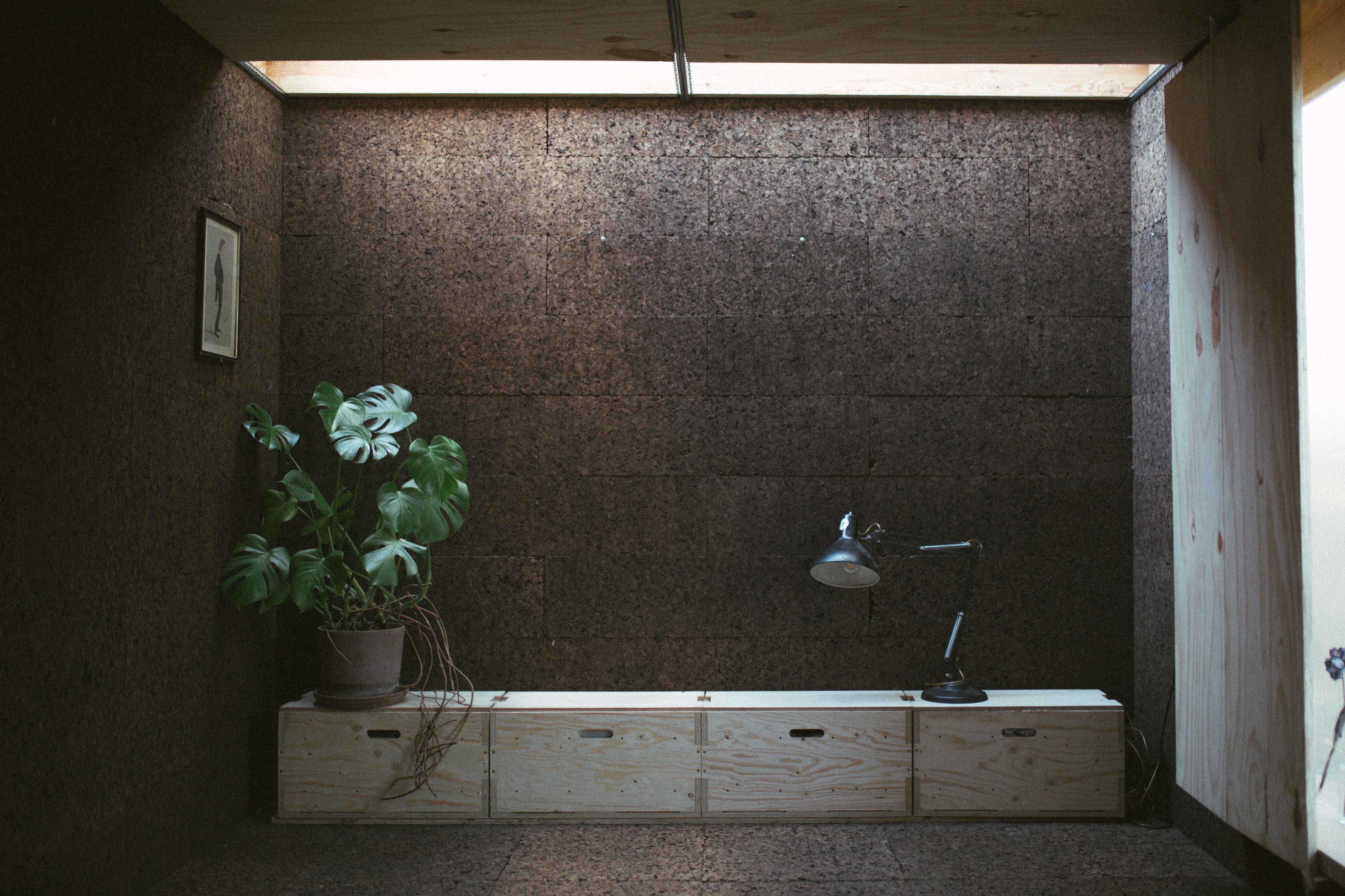 Studio Bark: ‘Stop working on damaging projects’