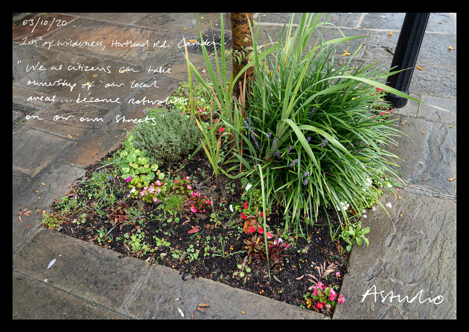 All entries to Camden Highline competition revealed