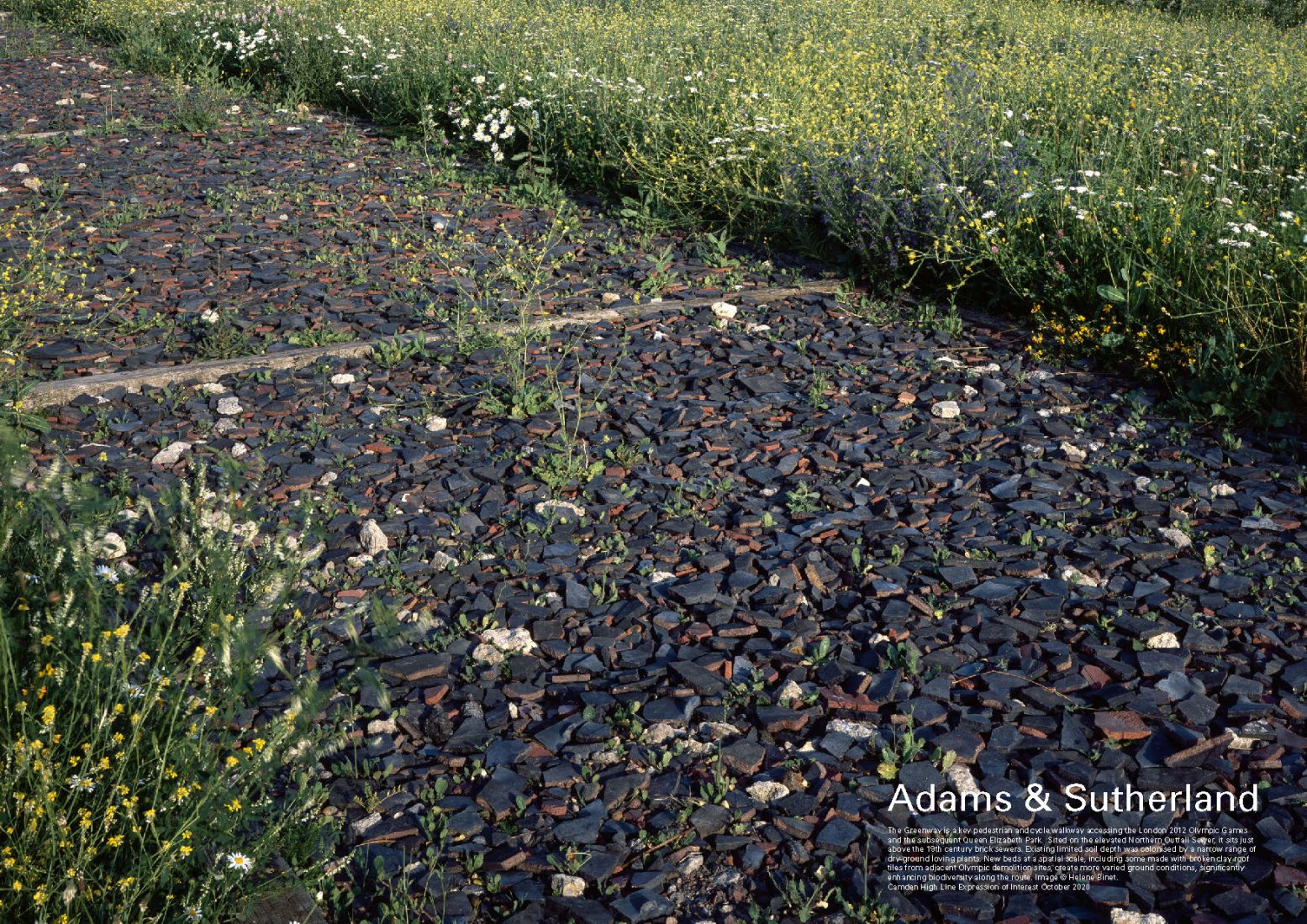 All entries to Camden Highline competition revealed