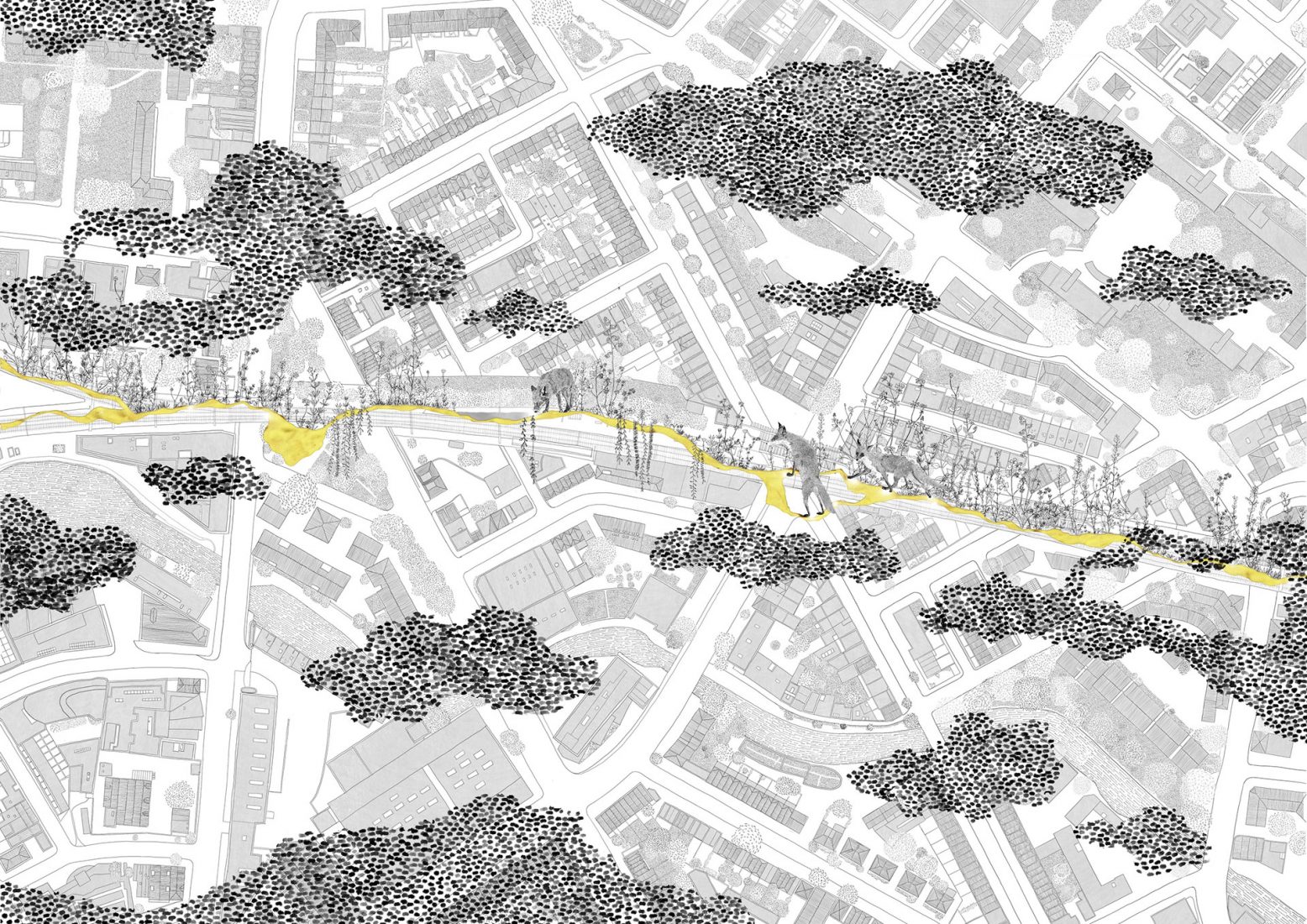 All entries to Camden Highline competition revealed