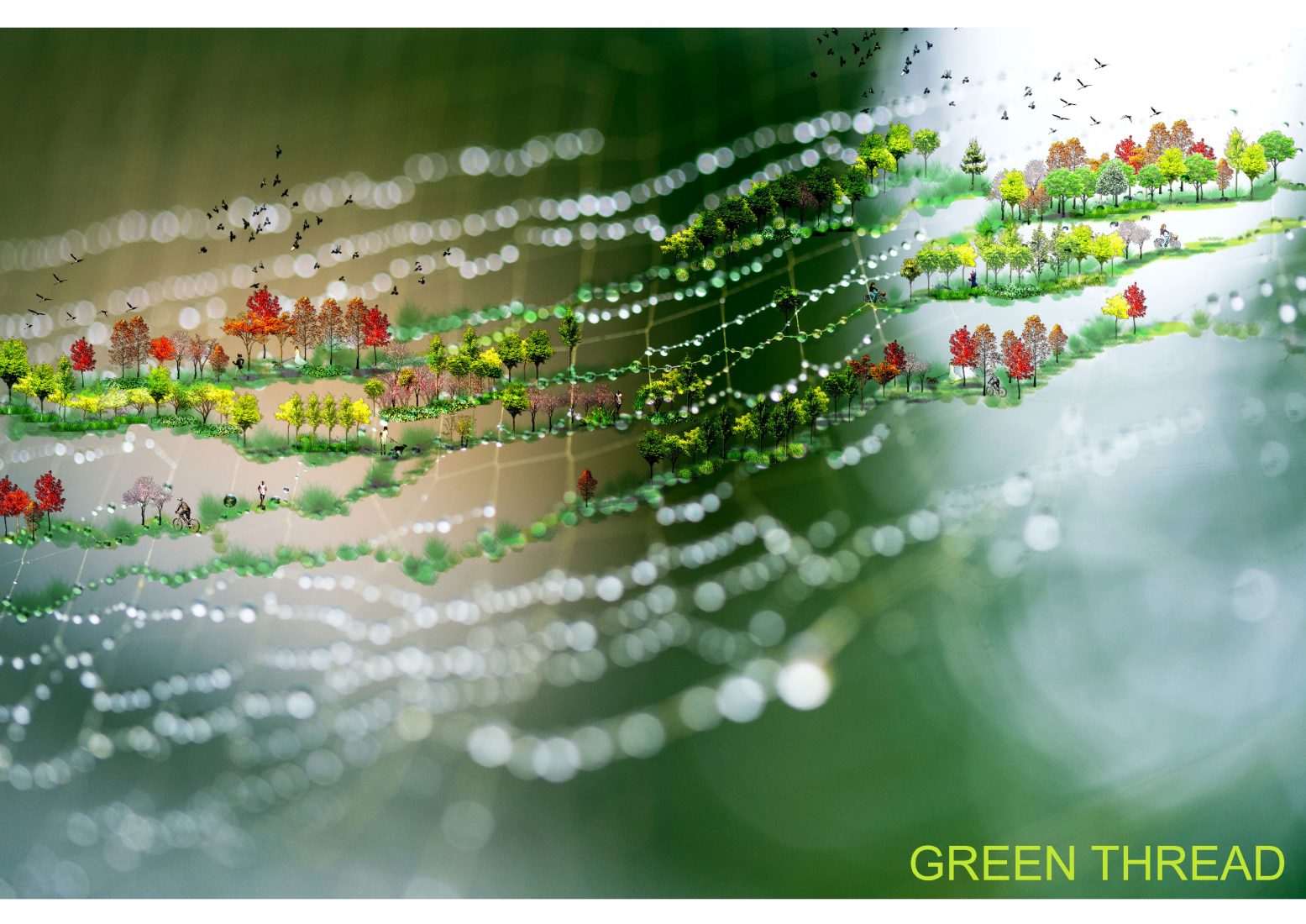 All entries to Camden Highline competition revealed