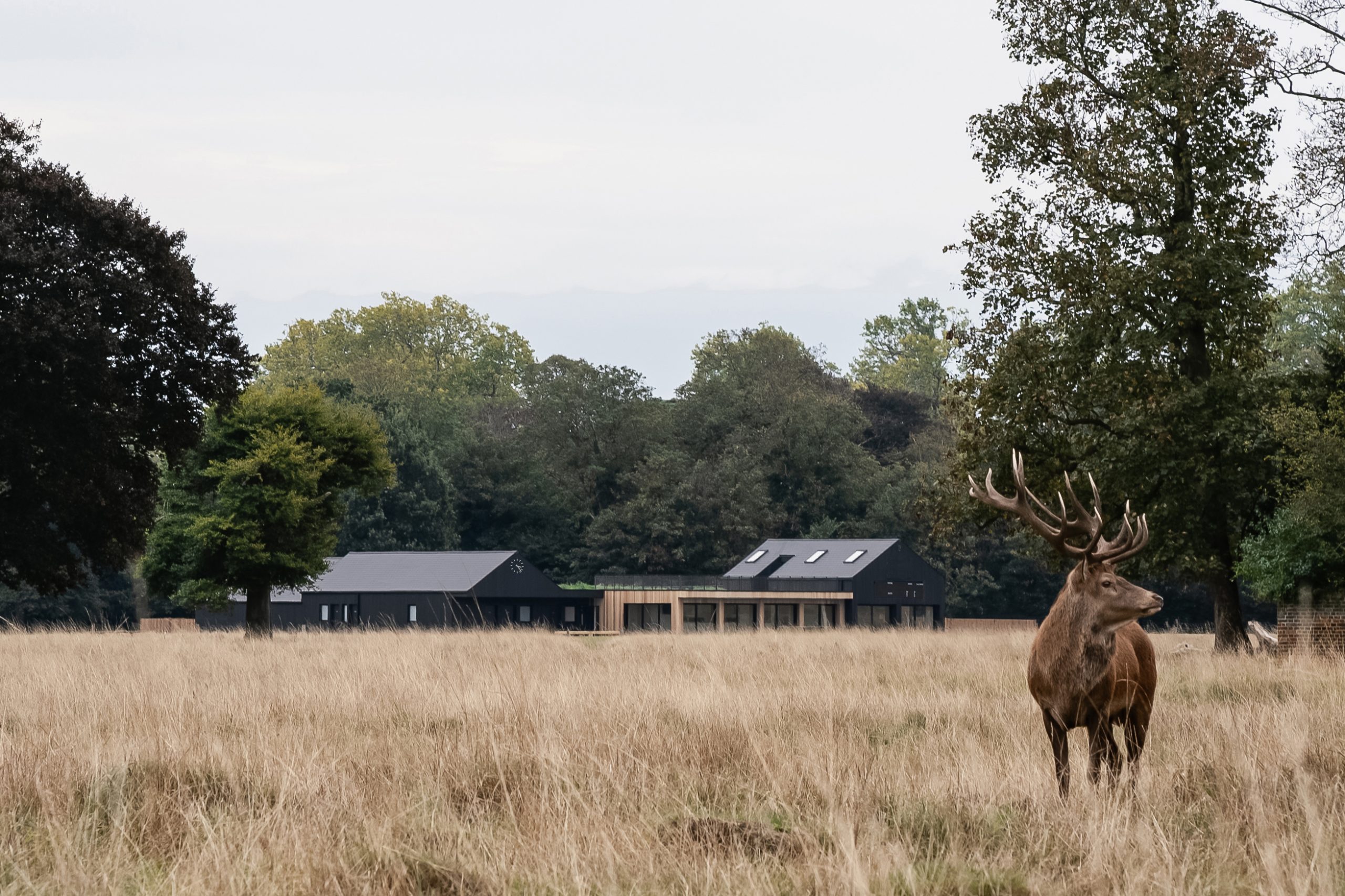 Reed Watts completes cricket club pavilion in Richmond