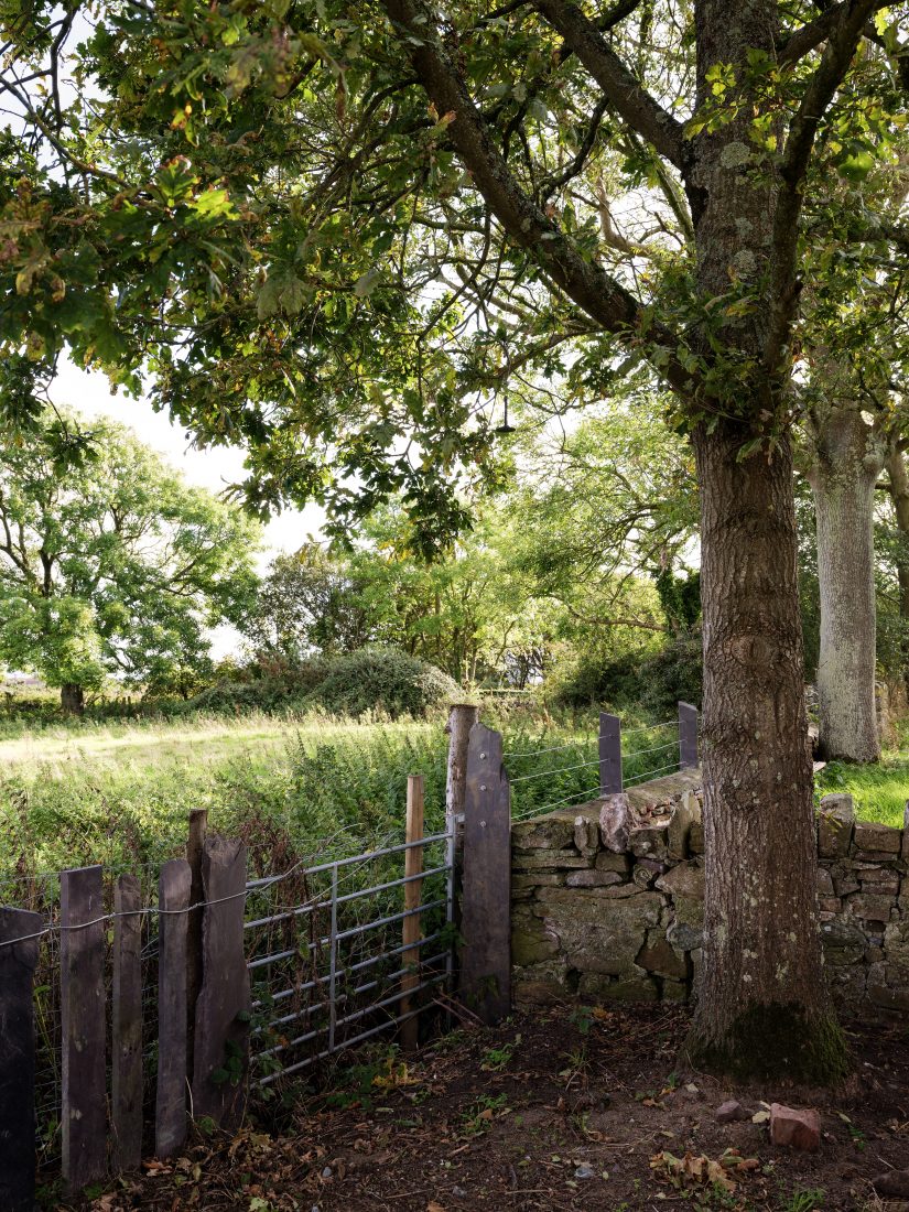 Supporting detail: Slate fencing at House in North Wales