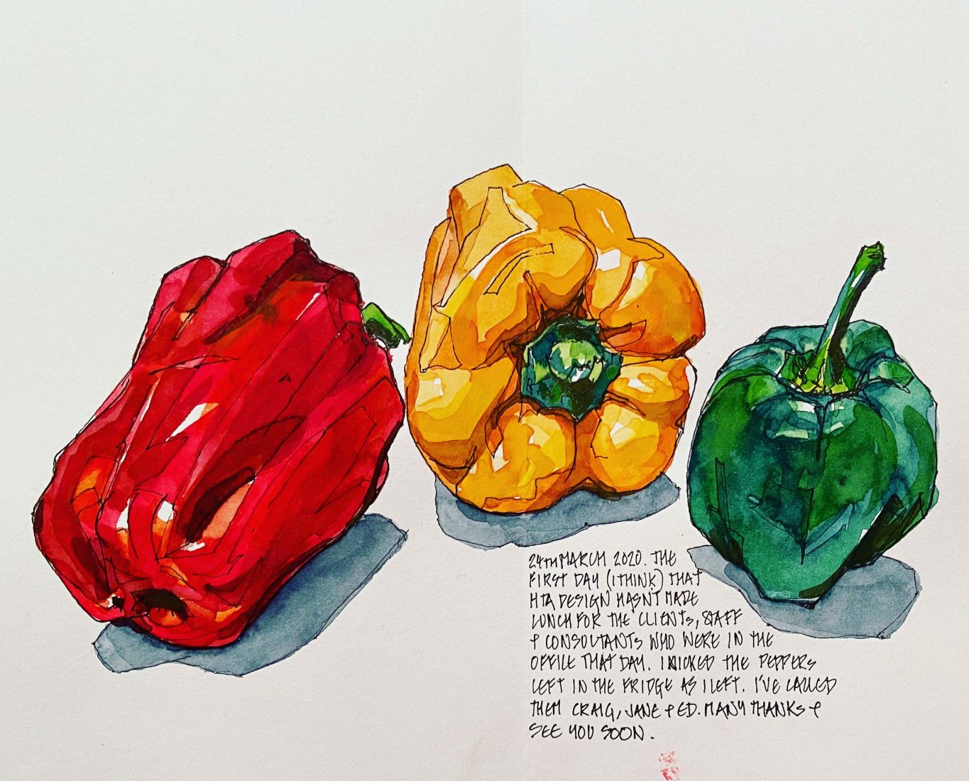 Sketchbook: Sandy Morrison