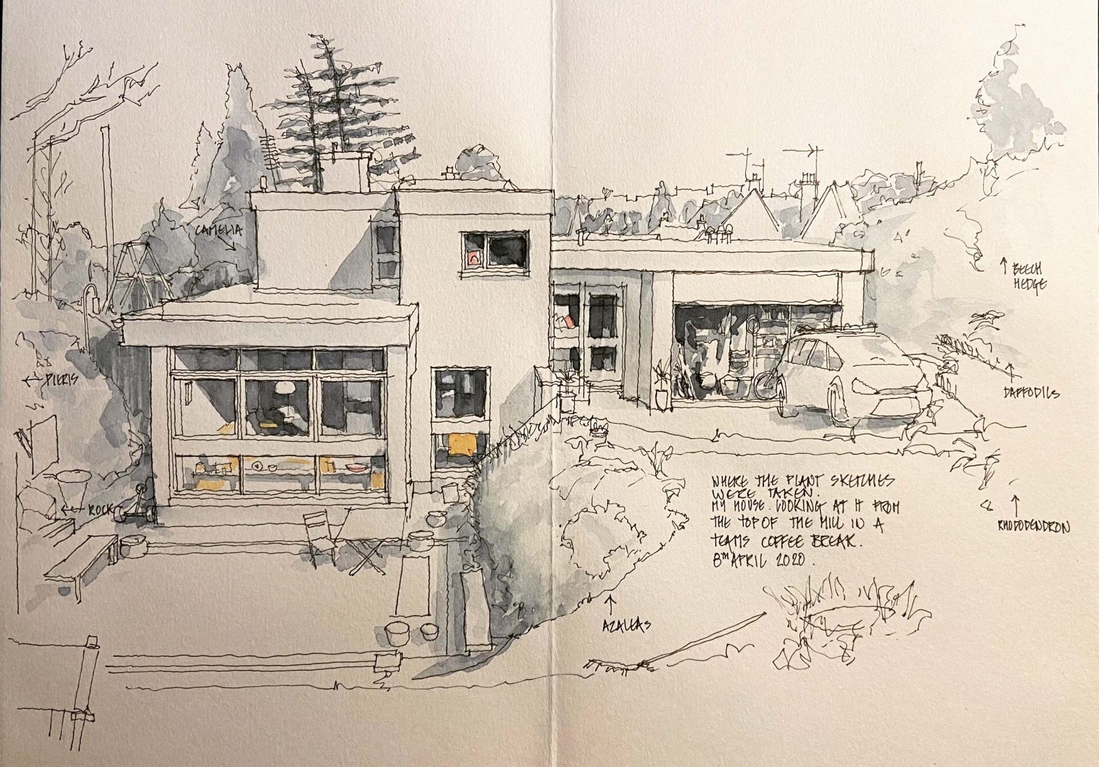 Sketchbook: Sandy Morrison