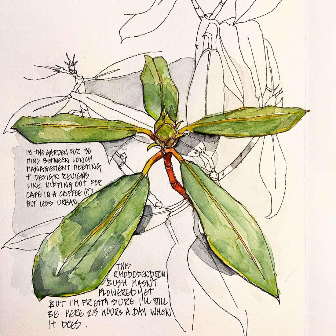 Sketchbook: Sandy Morrison