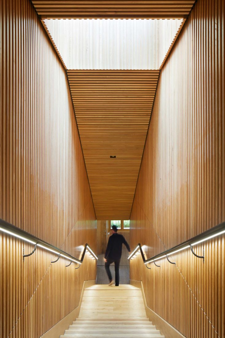 Case study: Ibstock Place School Refectory by Maccreanor Lavington