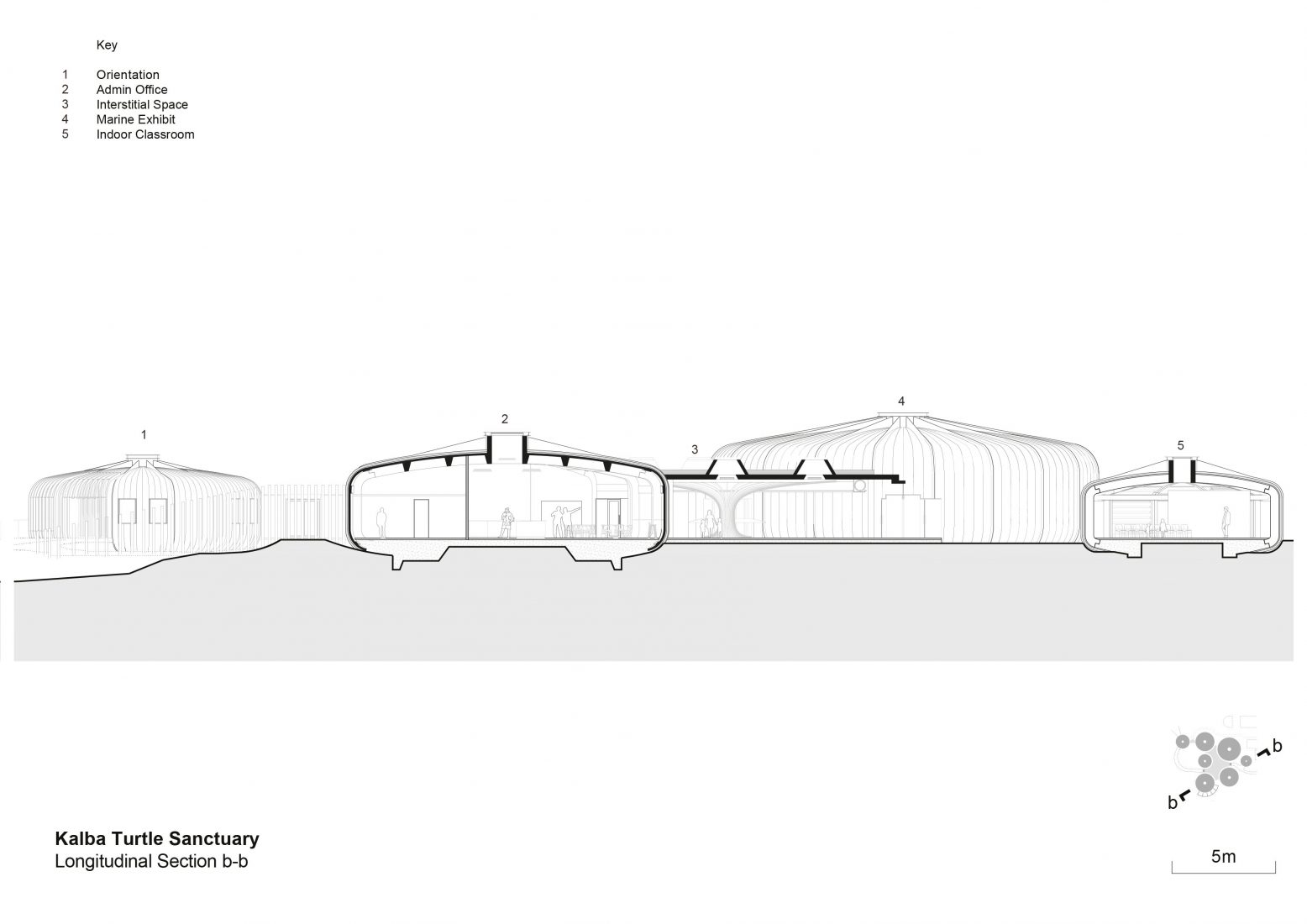 Hopkins completes turtle sanctuary at UAE mangrove reserve