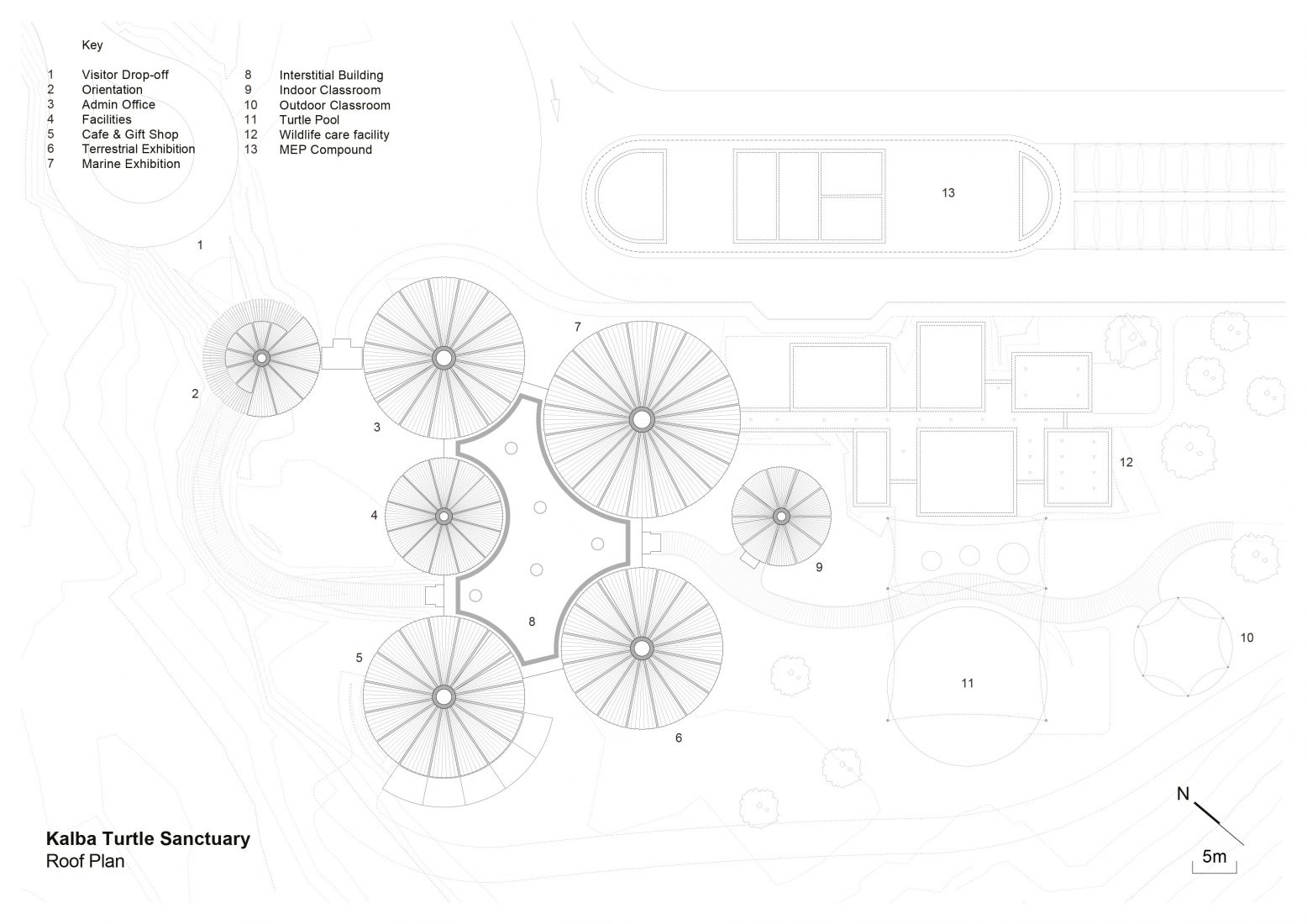 Hopkins completes turtle sanctuary at UAE mangrove reserve