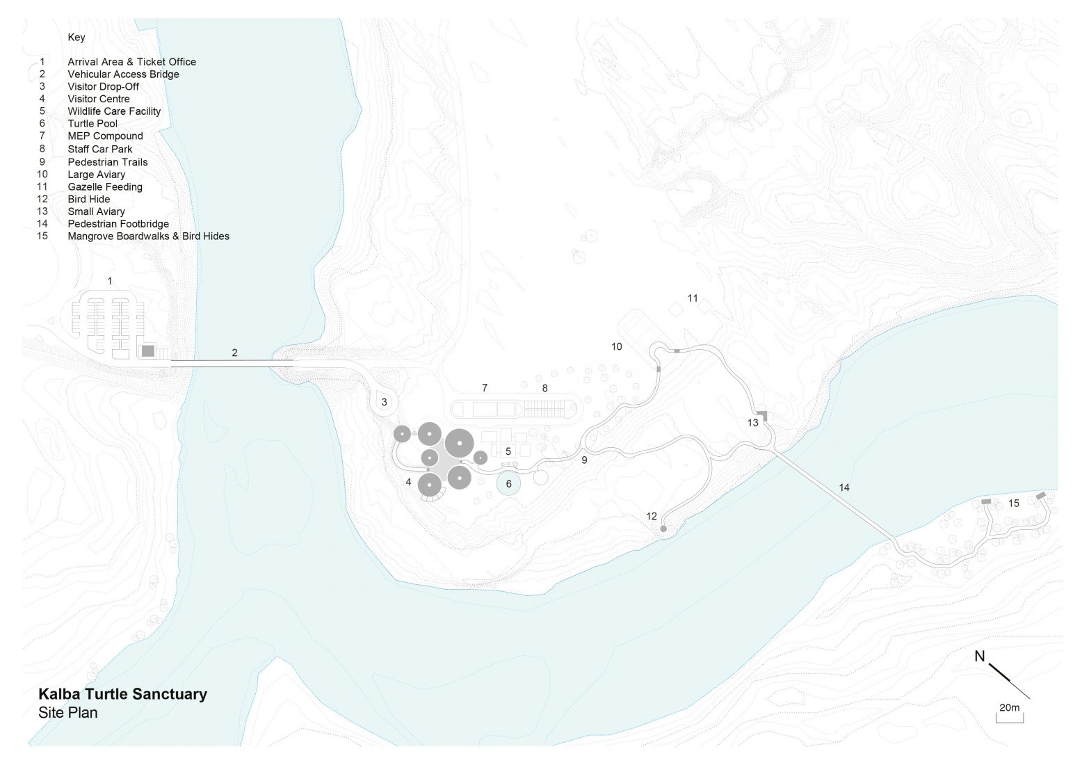 Hopkins completes turtle sanctuary at UAE mangrove reserve