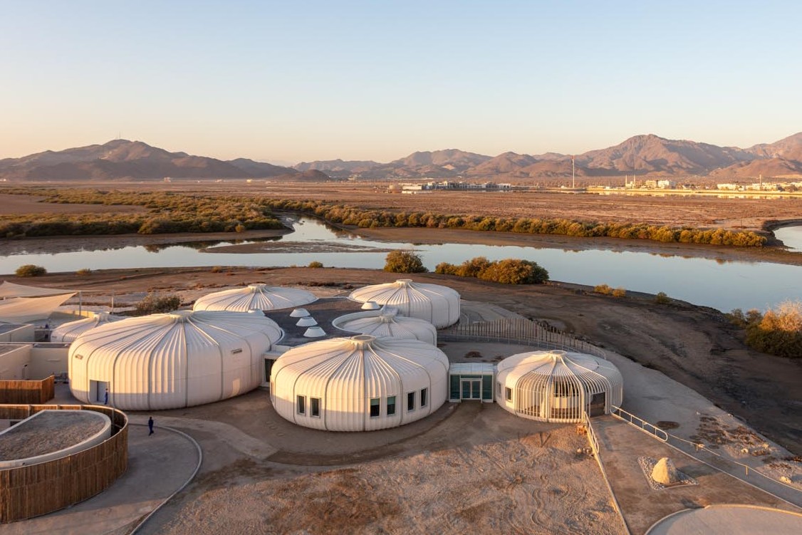 Hopkins completes turtle sanctuary at UAE mangrove reserve