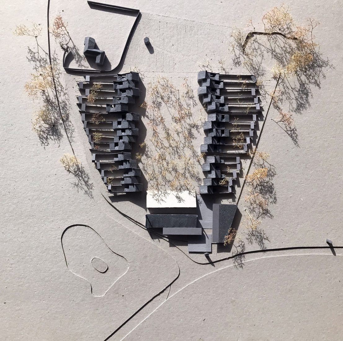 Patrick Lynch proposes terraced housing in rural Shropshire