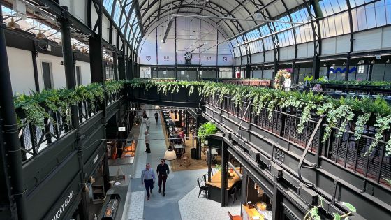 Ellis Williams Architects – The Architects’ Journal