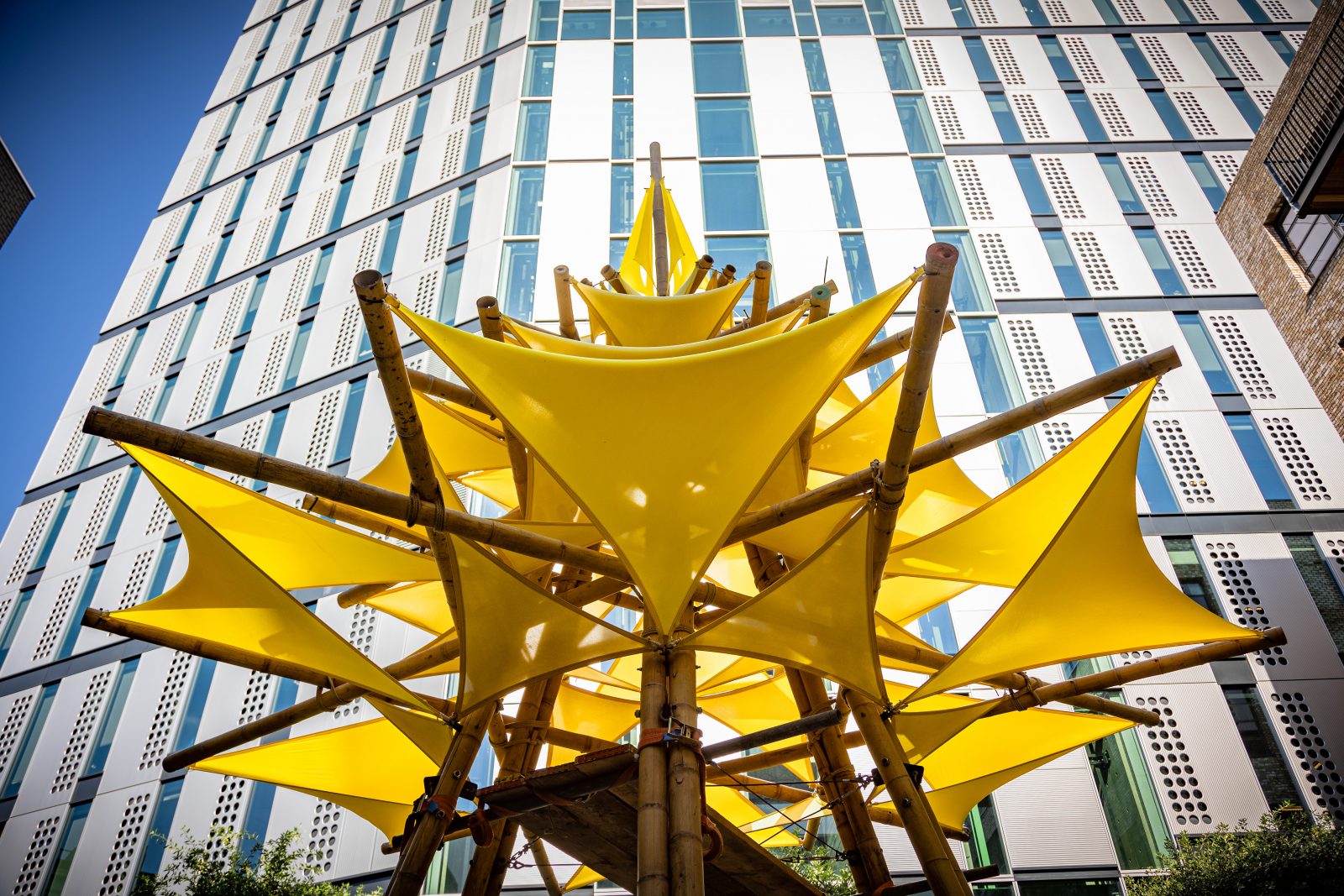 Bamboo seaside pavilion finds new home at AKT II’s Old Street office