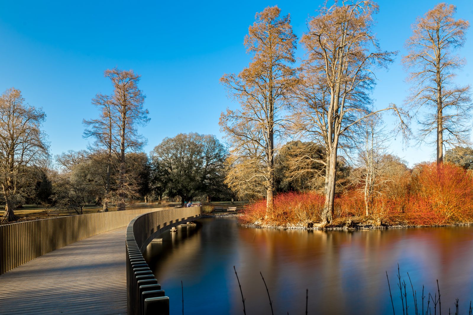 Treehouses at Kew
