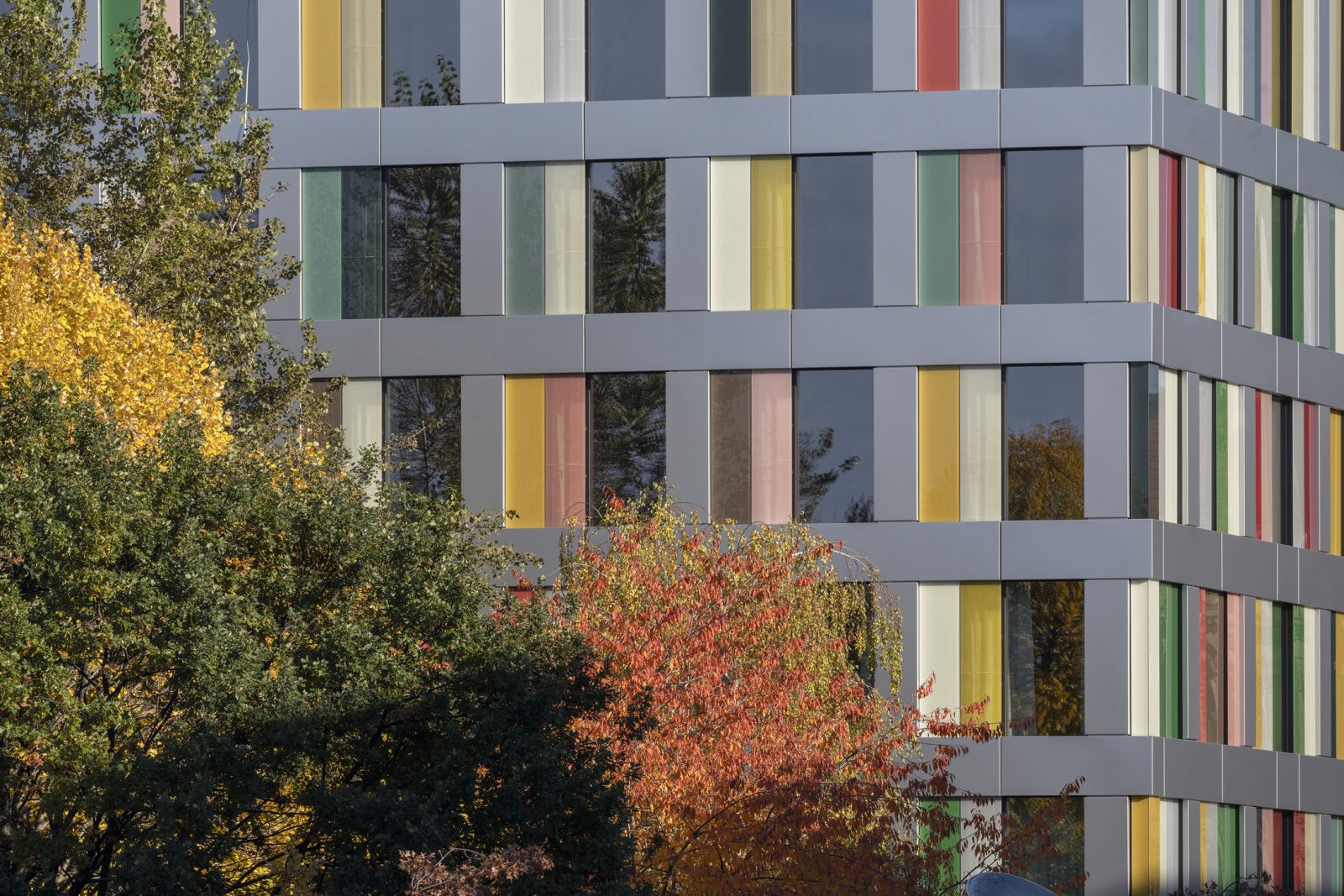 Sauerbruch Hutton completes Berlin government offices with ‘wooden heart’