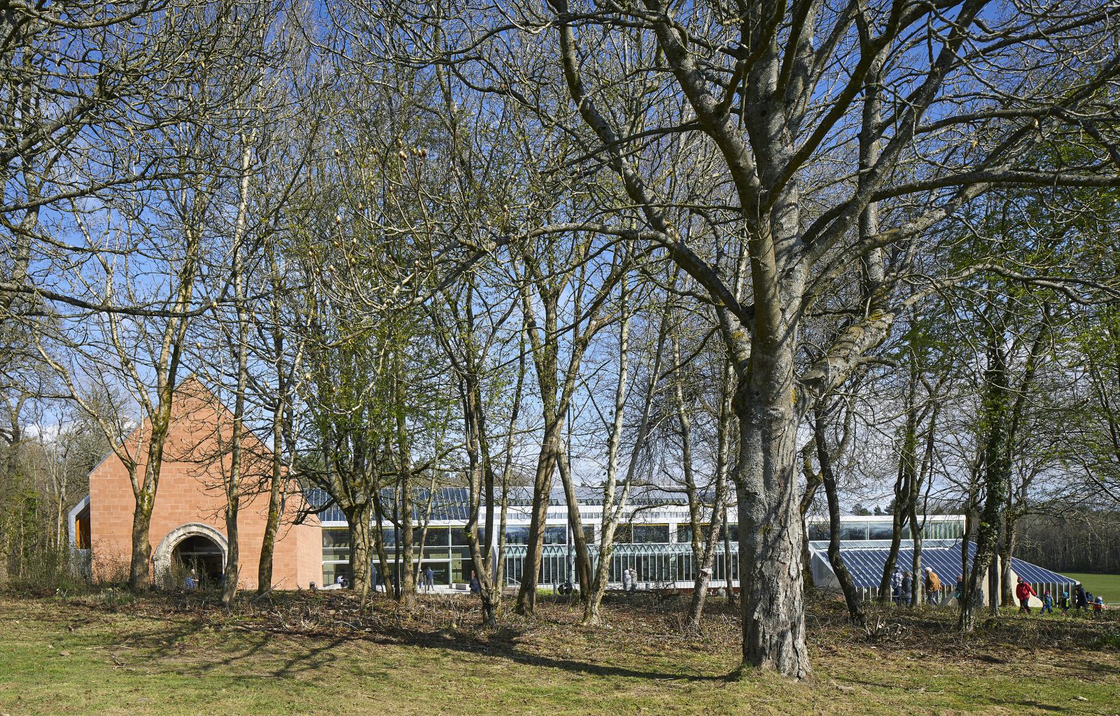 The Burrell Collection reworked by John McAslan Architects