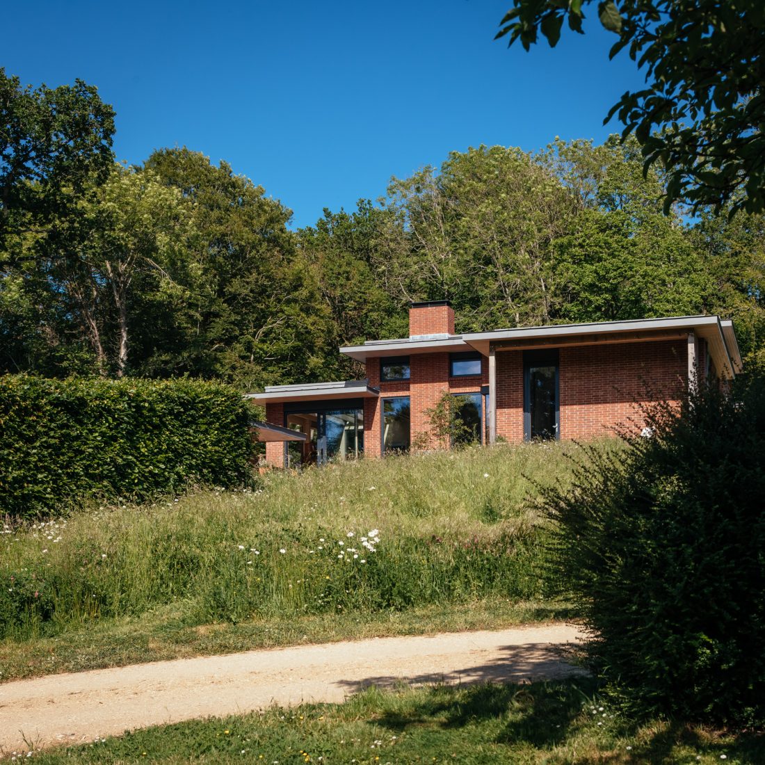 PAD Studio completes house in the New Forest National Park