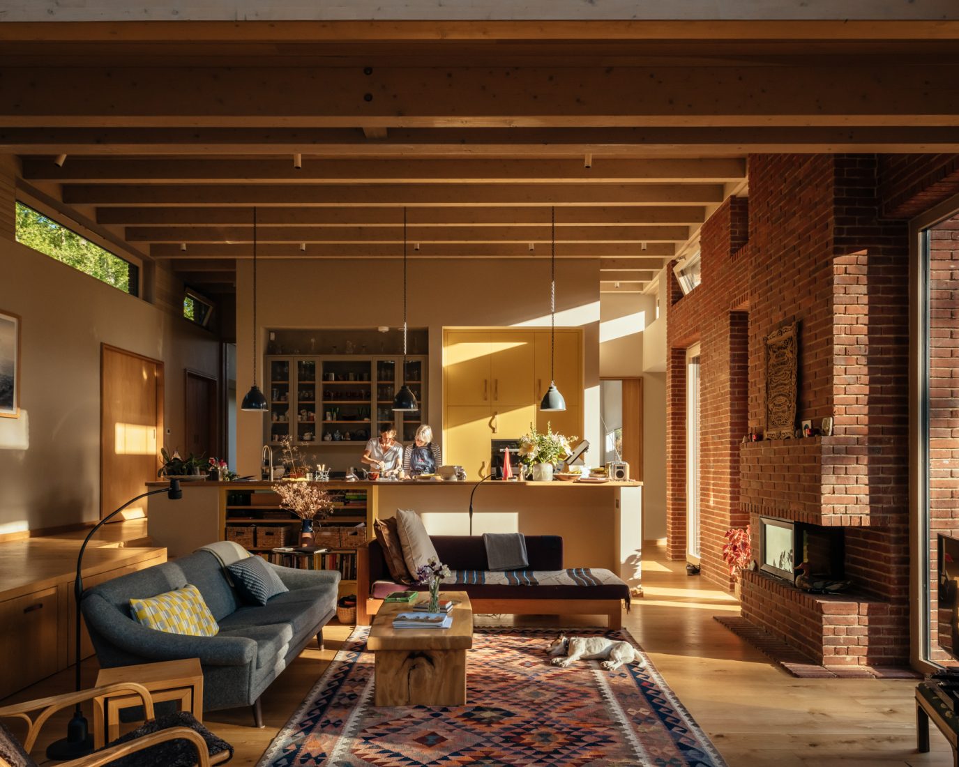 PAD Studio completes house in the New Forest National Park