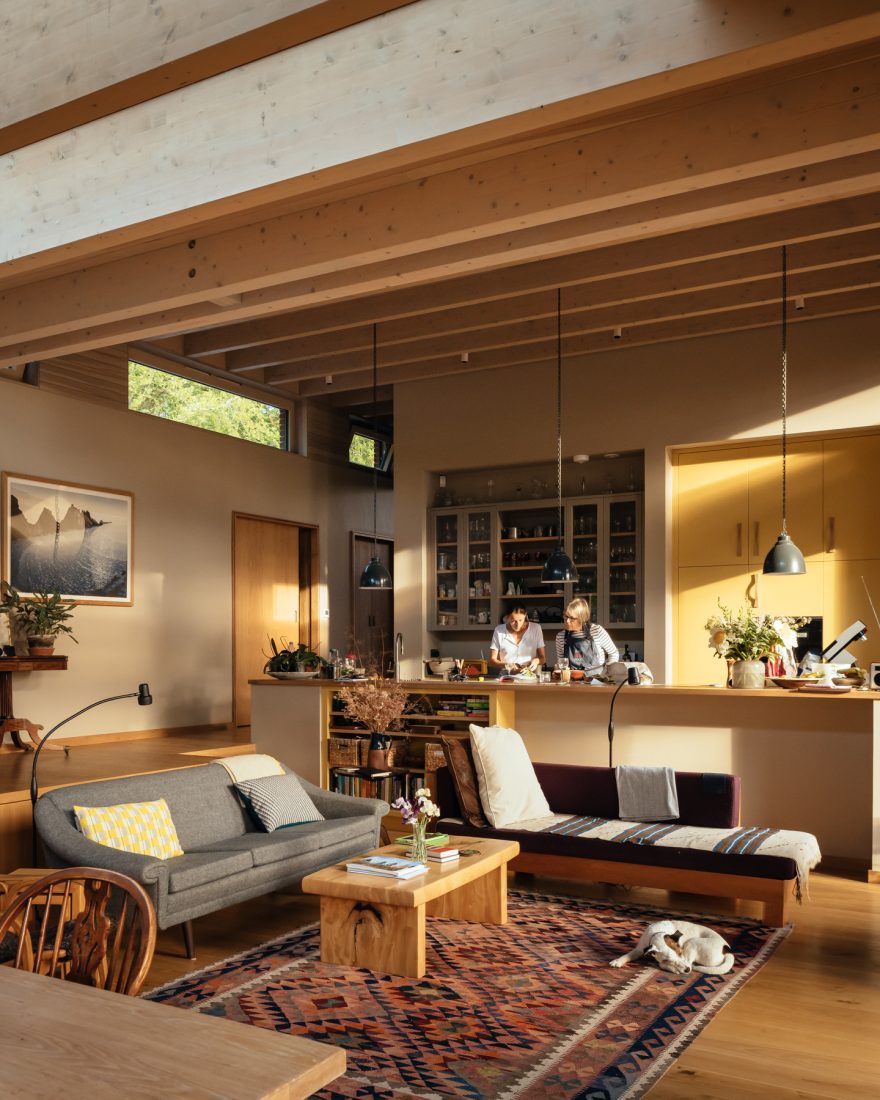 PAD Studio completes house in the New Forest National Park