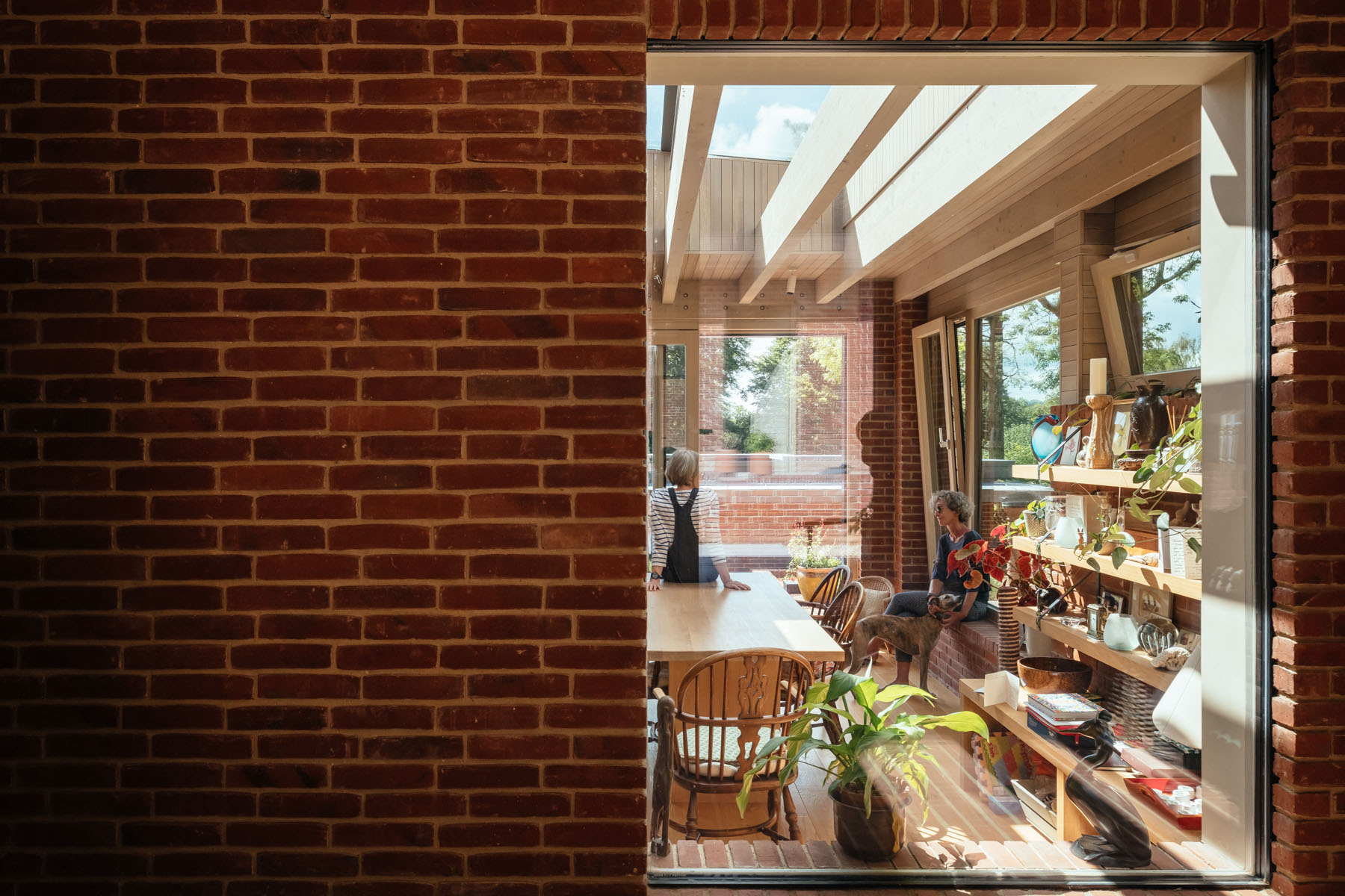PAD Studio completes house in the New Forest National Park