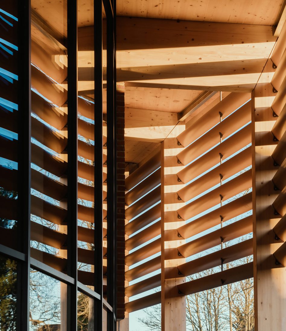 David Miller Architects designs composite timber school in Reading